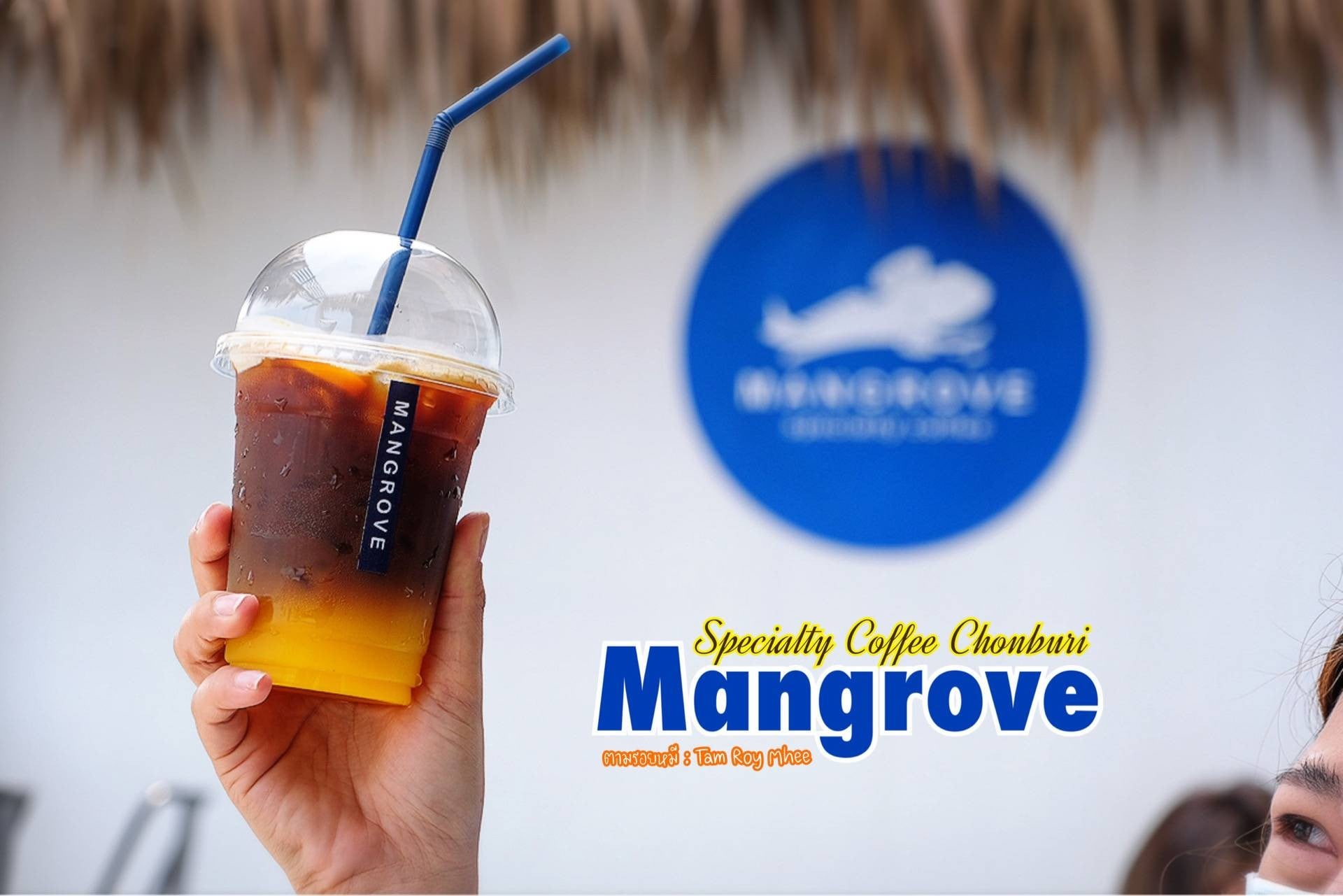 รีวิว Mangrove Specialty Coffee - คาเฟ่ลับวิวป่าชายเลนเปิดใหม่ล่าสุด ...