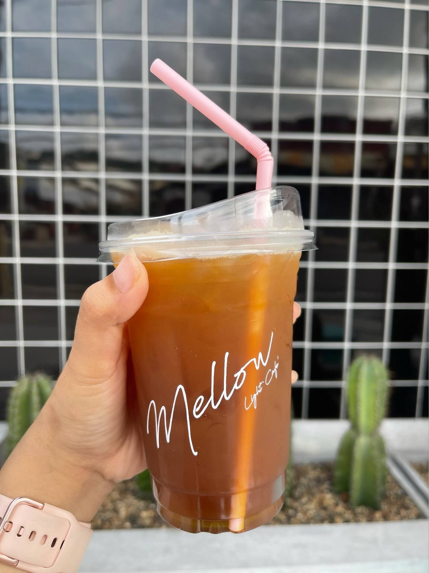 Mellow Light Cafe - สั่งอาหารเดลิเวอรี | Wongnai x LINE MAN