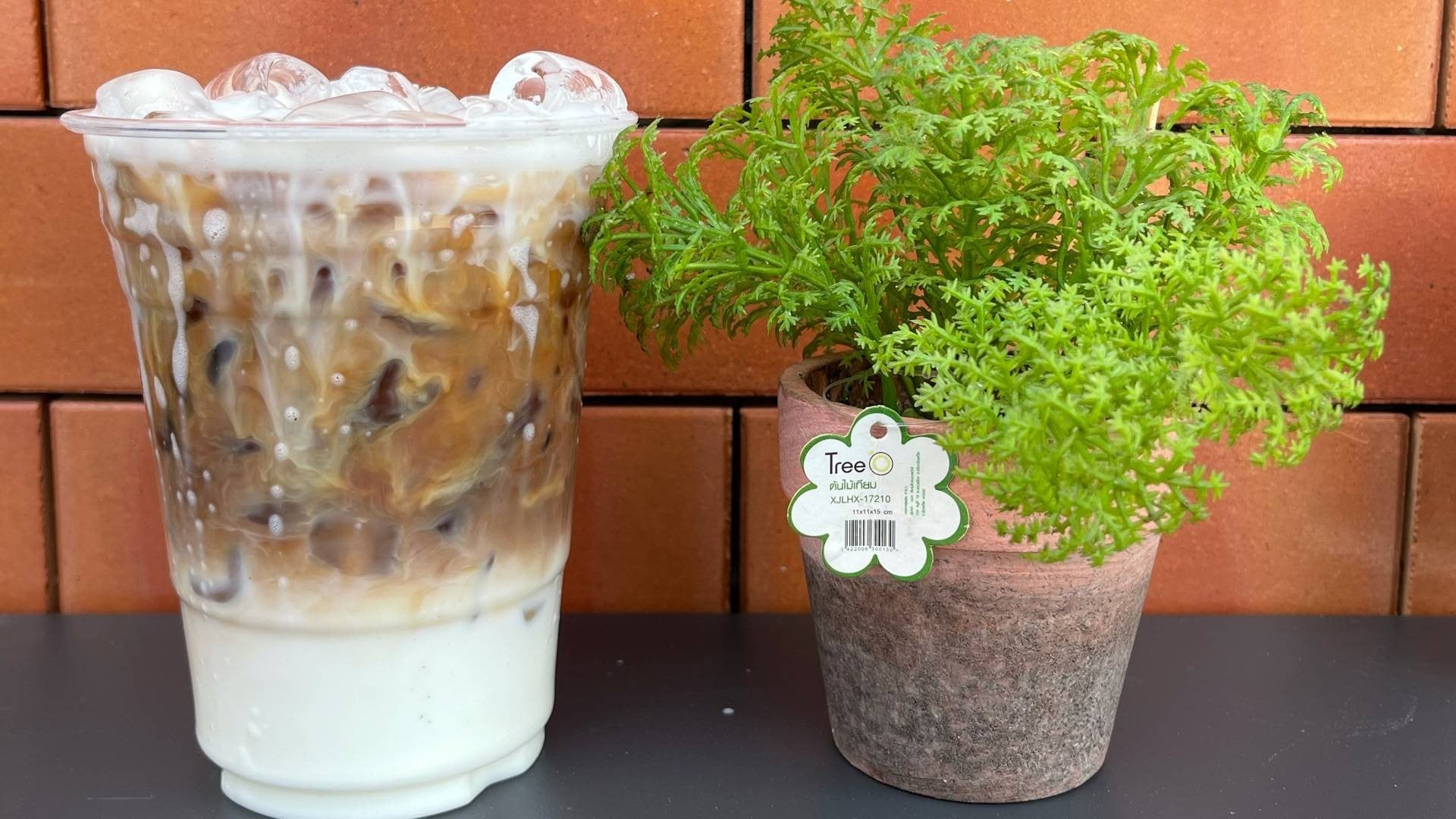 ร้าน Long Cafe” by A Long บ้านซ่าน ศรีสำโรง สุโขทัย | รีวิวร้านอาหาร