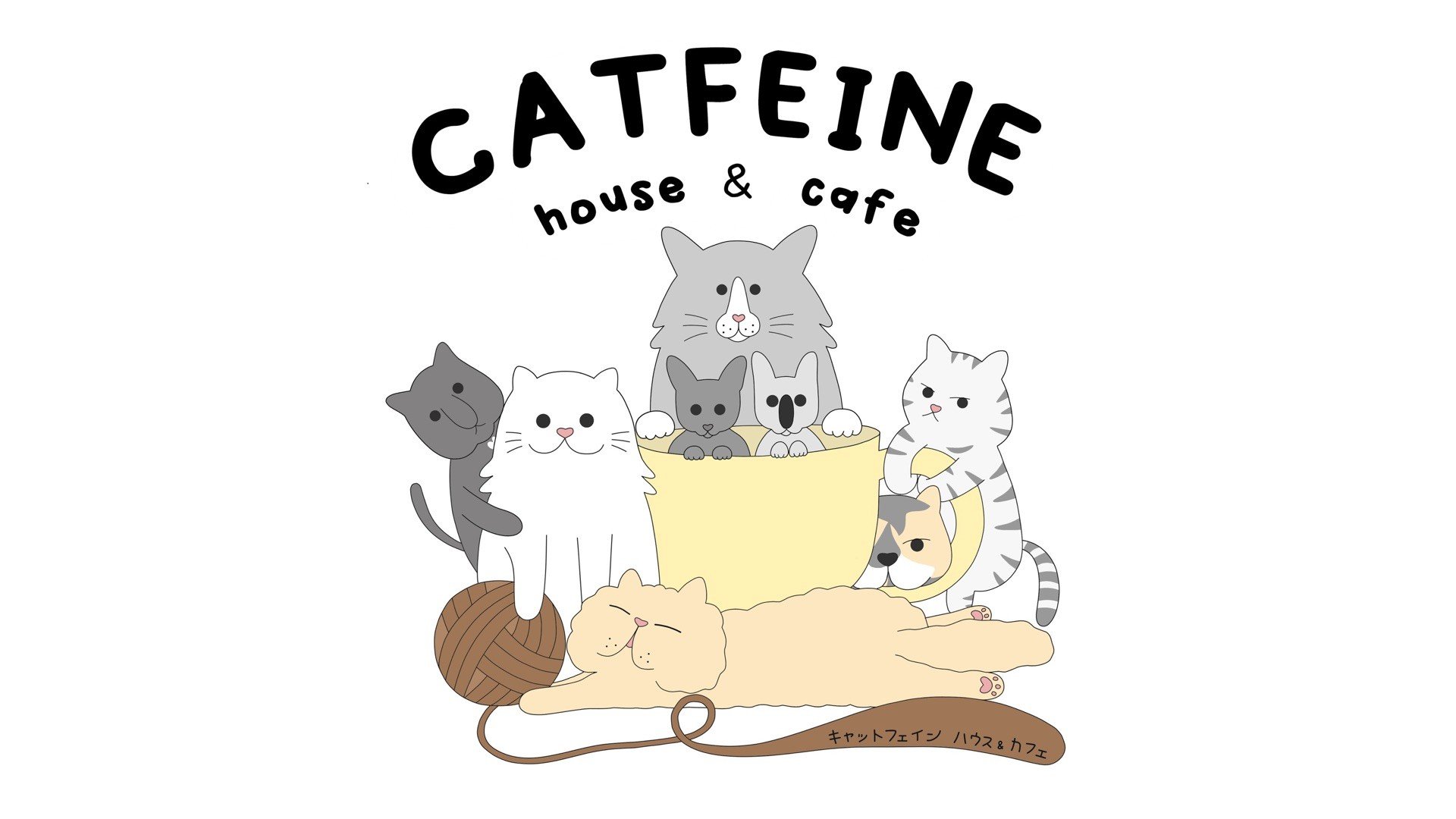 [รีวิว] ร้าน Catfeine House&Cafe | เมนูแนะนำ รูปภาพ ราคา