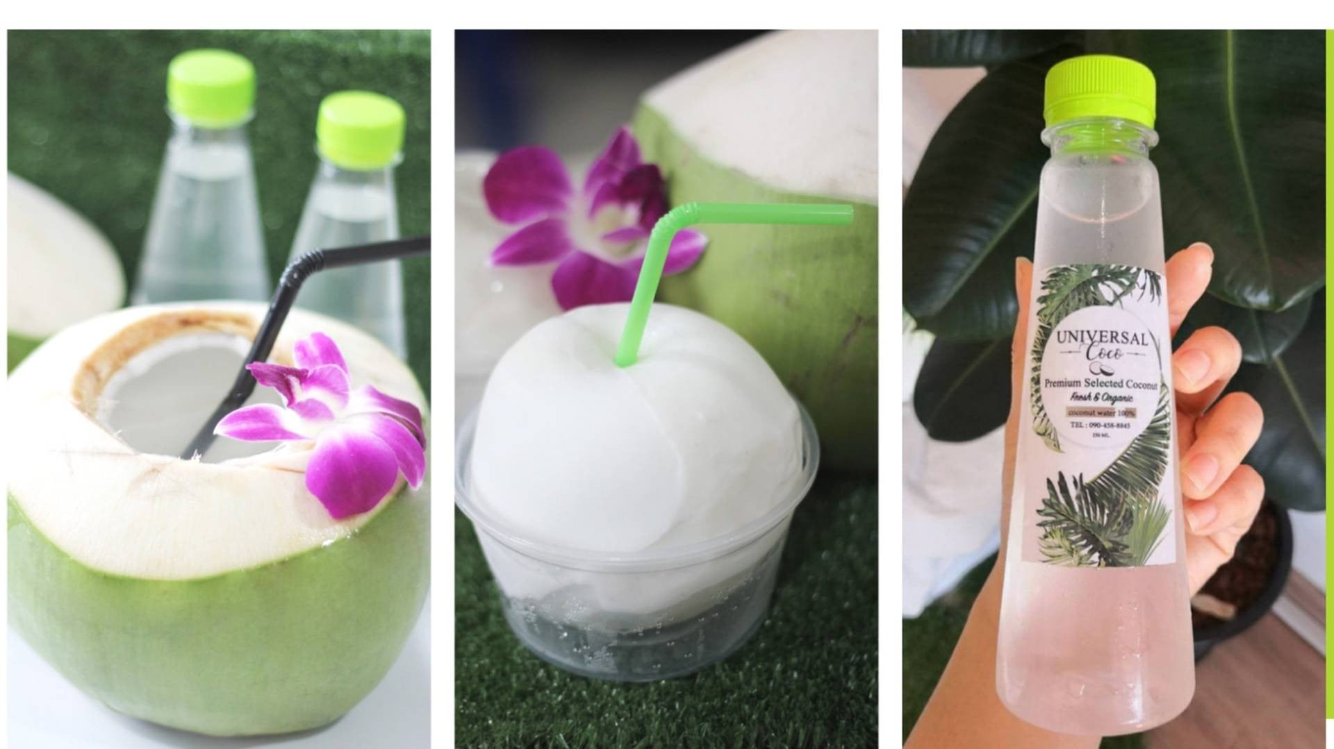 UNIVERSAL COCO สาขาสนามบินน้ำ สนามบินน้ำ - สั่งอาหารเดลิเวอรี | Wongnai ...