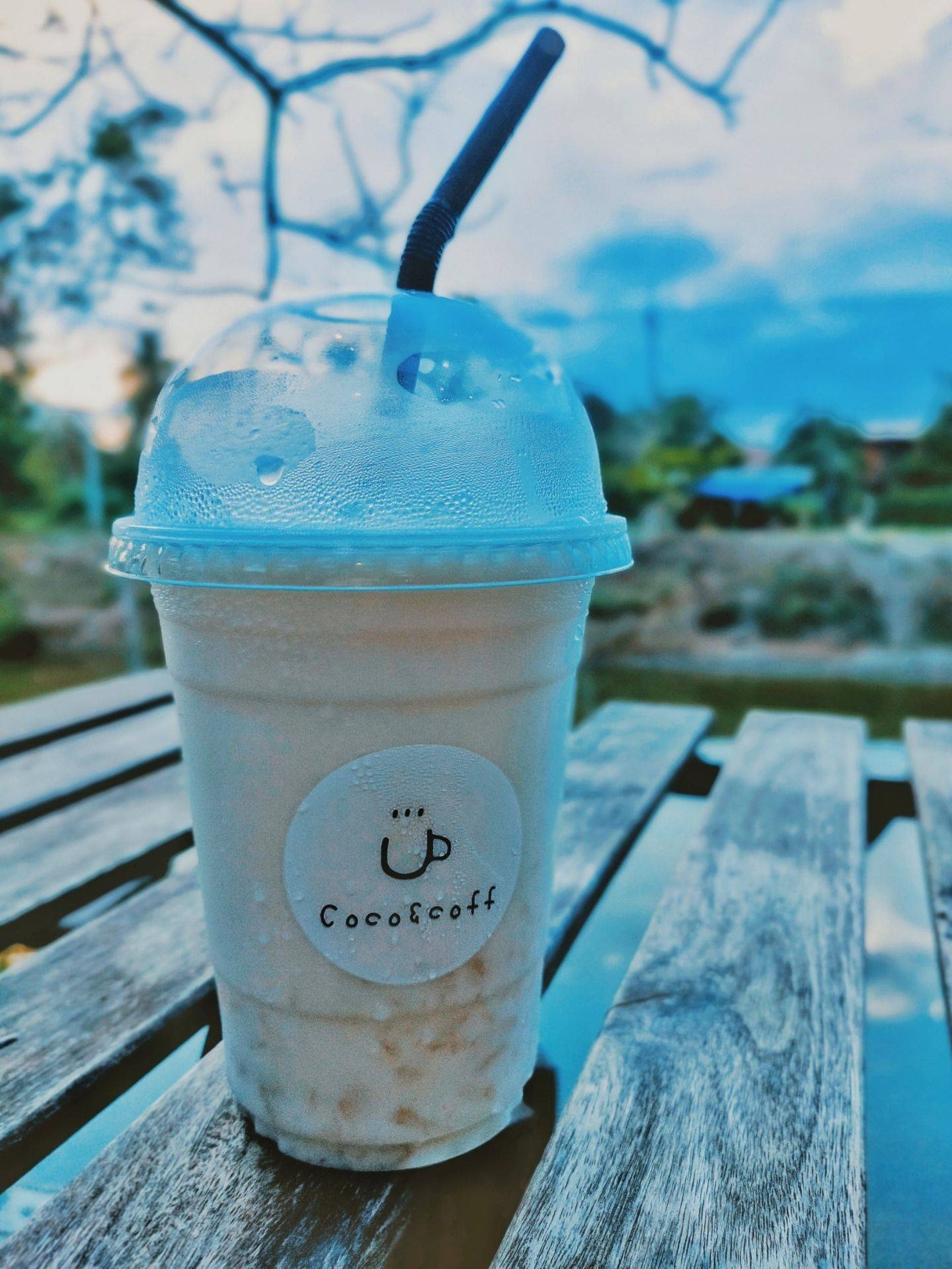 รีวิว Coco&coff - น้ำมะพร้าวนมสดปั่นอร่อยมากๆๆๆๆ