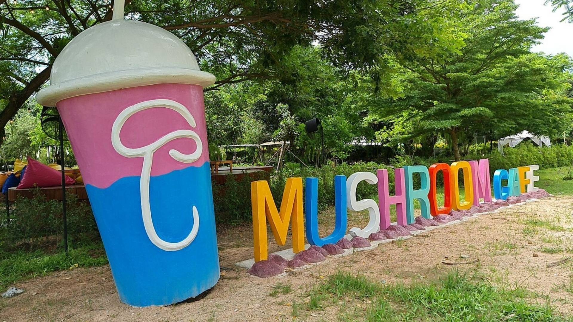 ร้าน Mushroom Cafe | รีวิวร้านอาหาร