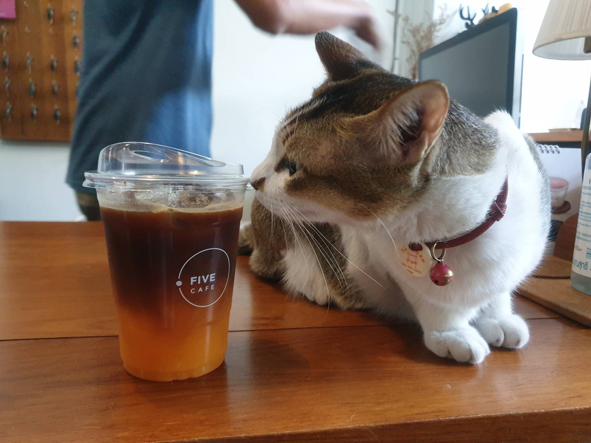 รีวิว 45 Coffee - รักชาพีซมากๆ กาแฟน้ำส้มก็ดีงาม - Wongnai