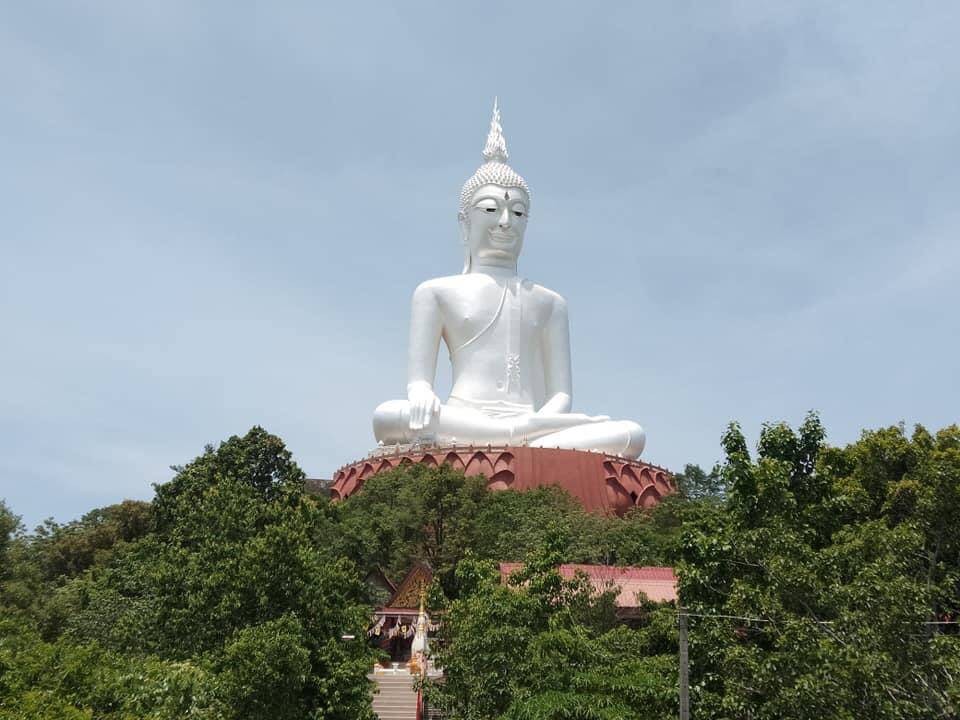 รูป Bolovan Coffee