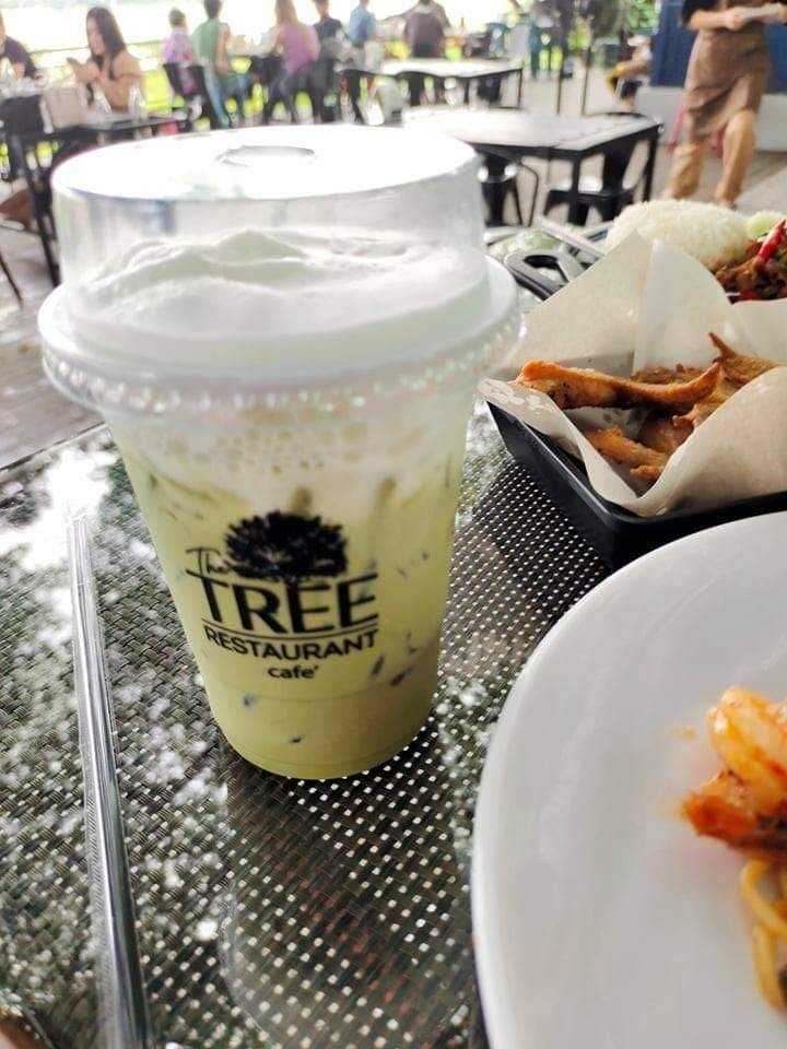 รีวิว The TREE CAFE - ร้านบรรยากาศดี แต่อาหารออกไปทางเค็มหน่อยค่ะ