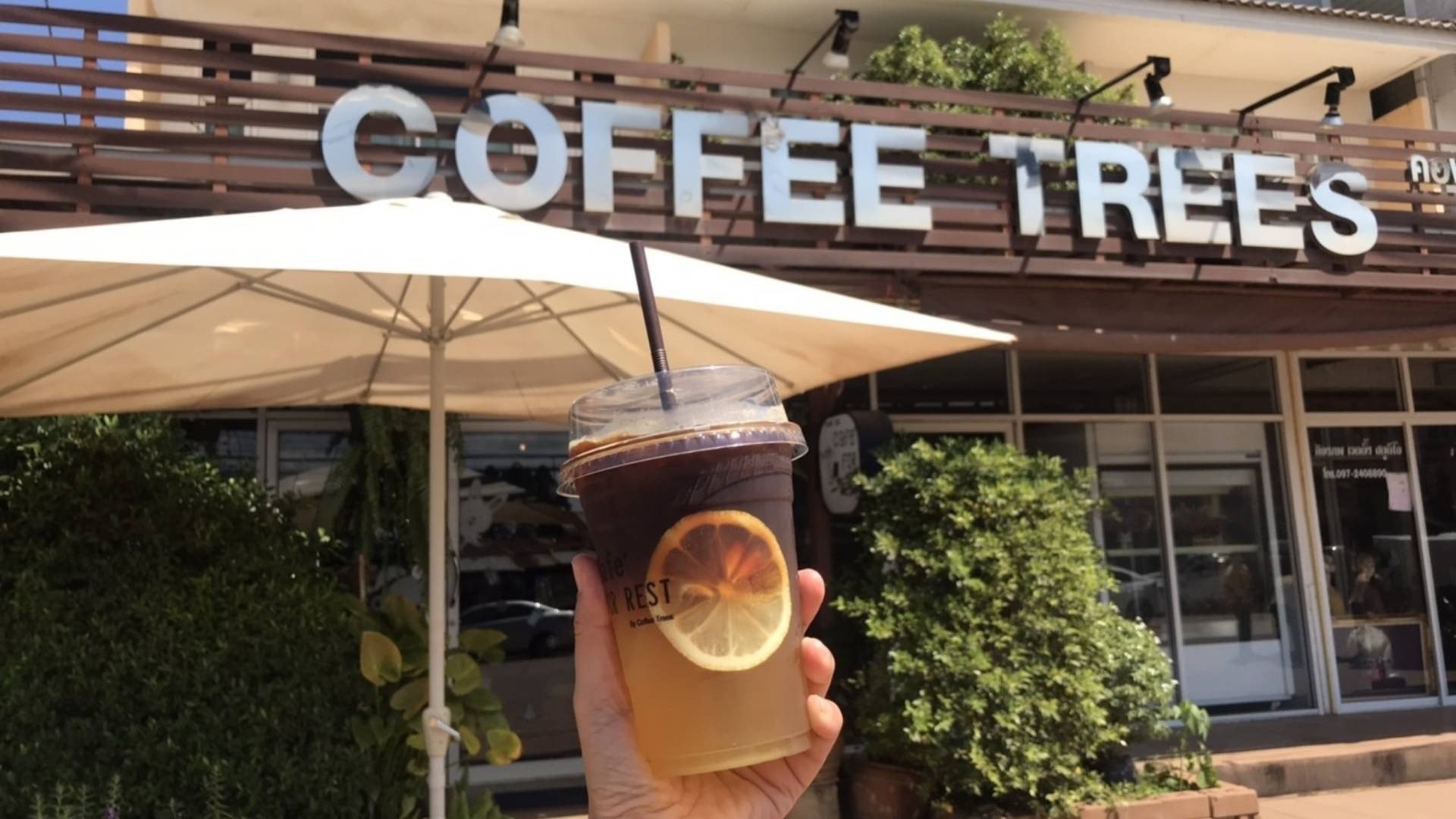 Coffee trees & Cafe' for rest - สั่งอาหารเดลิเวอรี | Wongnai x LINE MAN