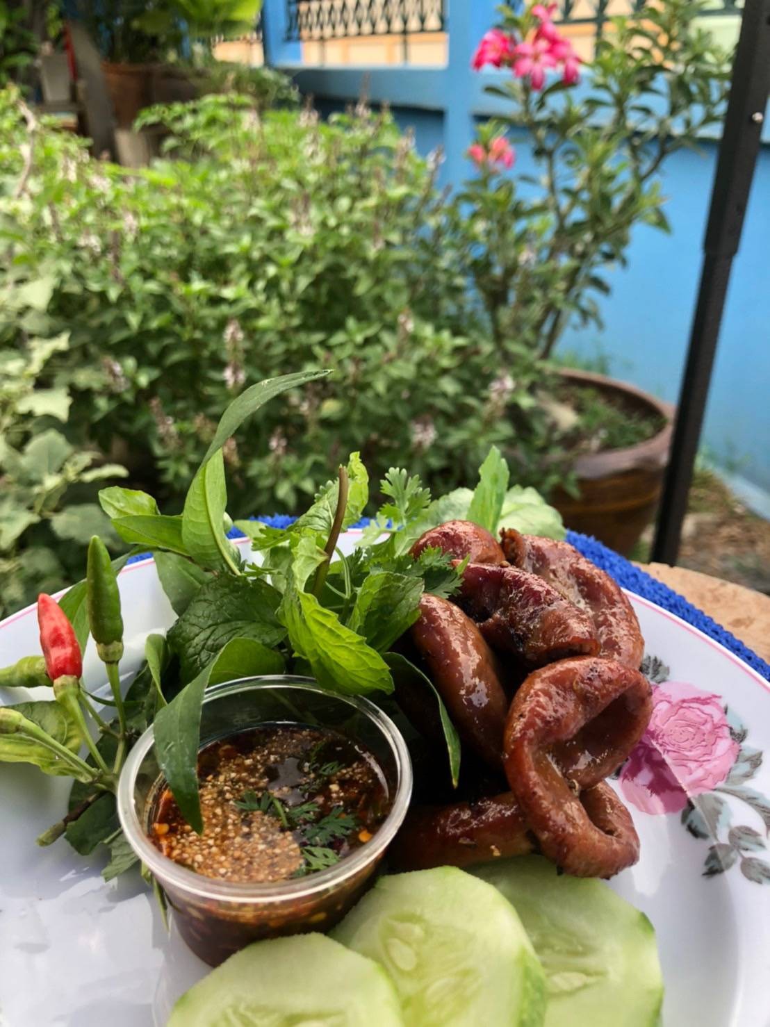 รีวิว ไส้ย่างไอ่เสือ แม่โจ้ - ไส้อ่อนย่างร้อนๆ น้ำจิ้มแซ่บจี้ด