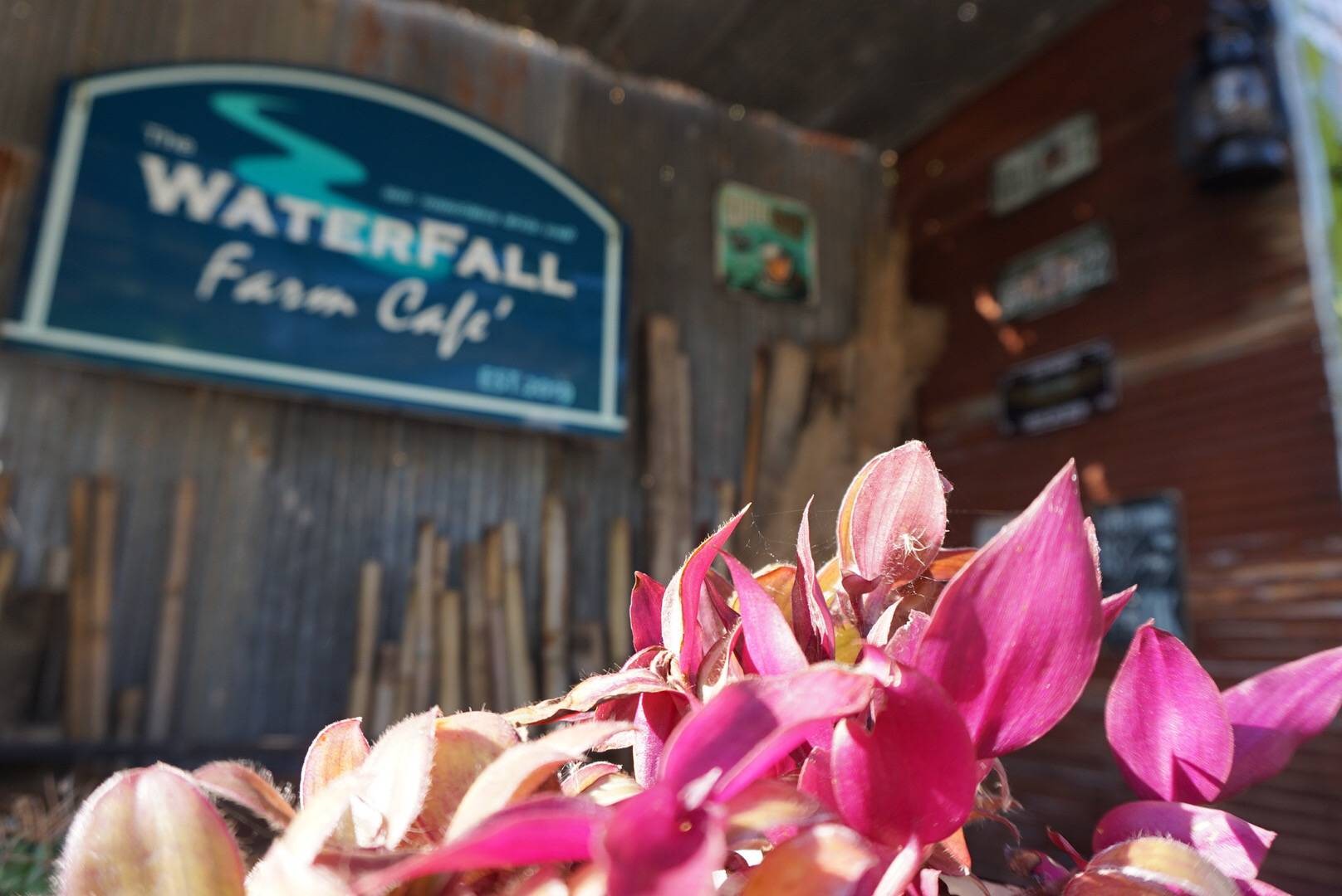 รีวิว The Waterfall Farm Cafe - บรรยากาศดี มุมถ่ายรูปเพียบ เจ้าของ ...