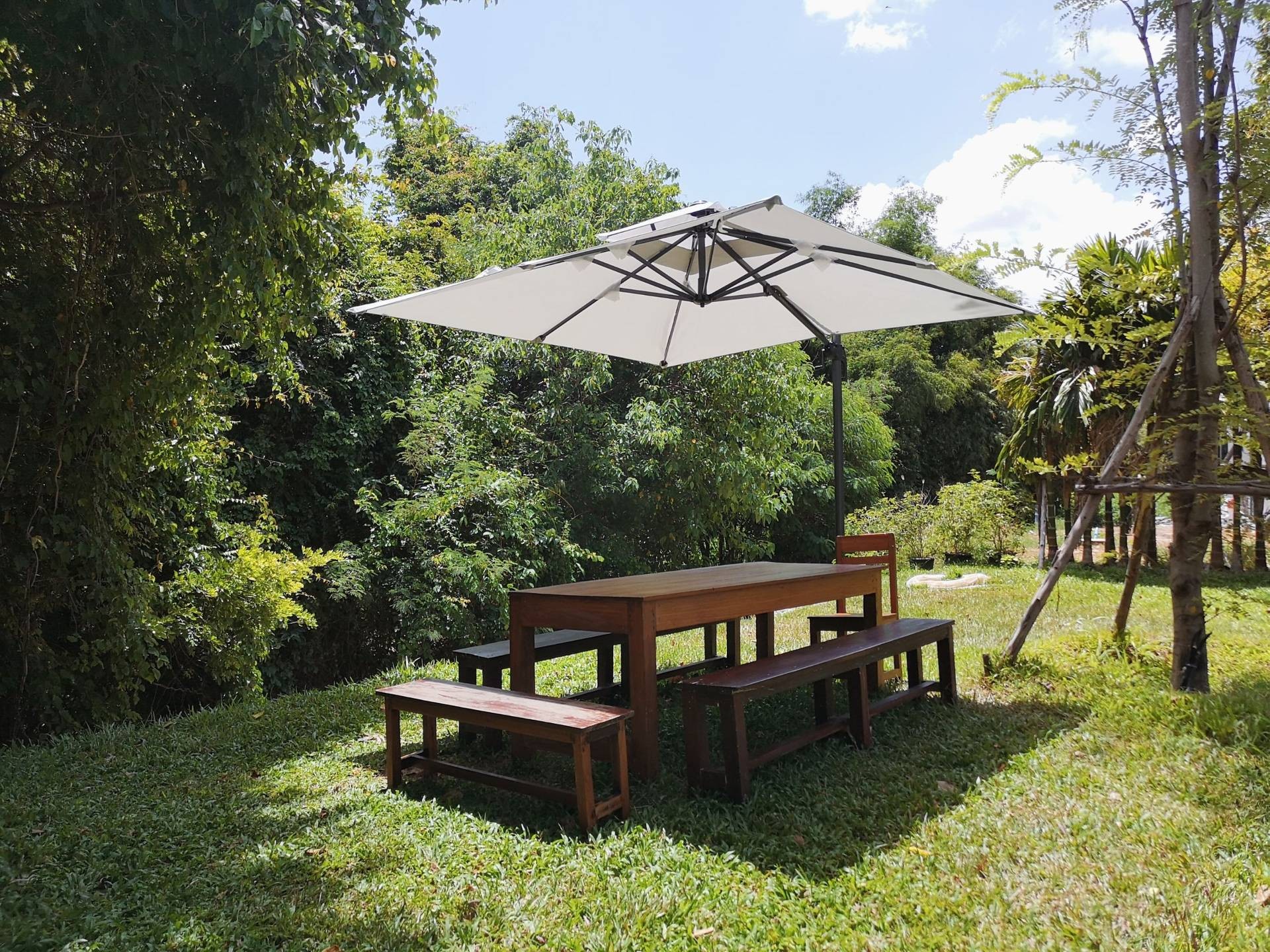 รูป Within Khaoyai - Wongnai