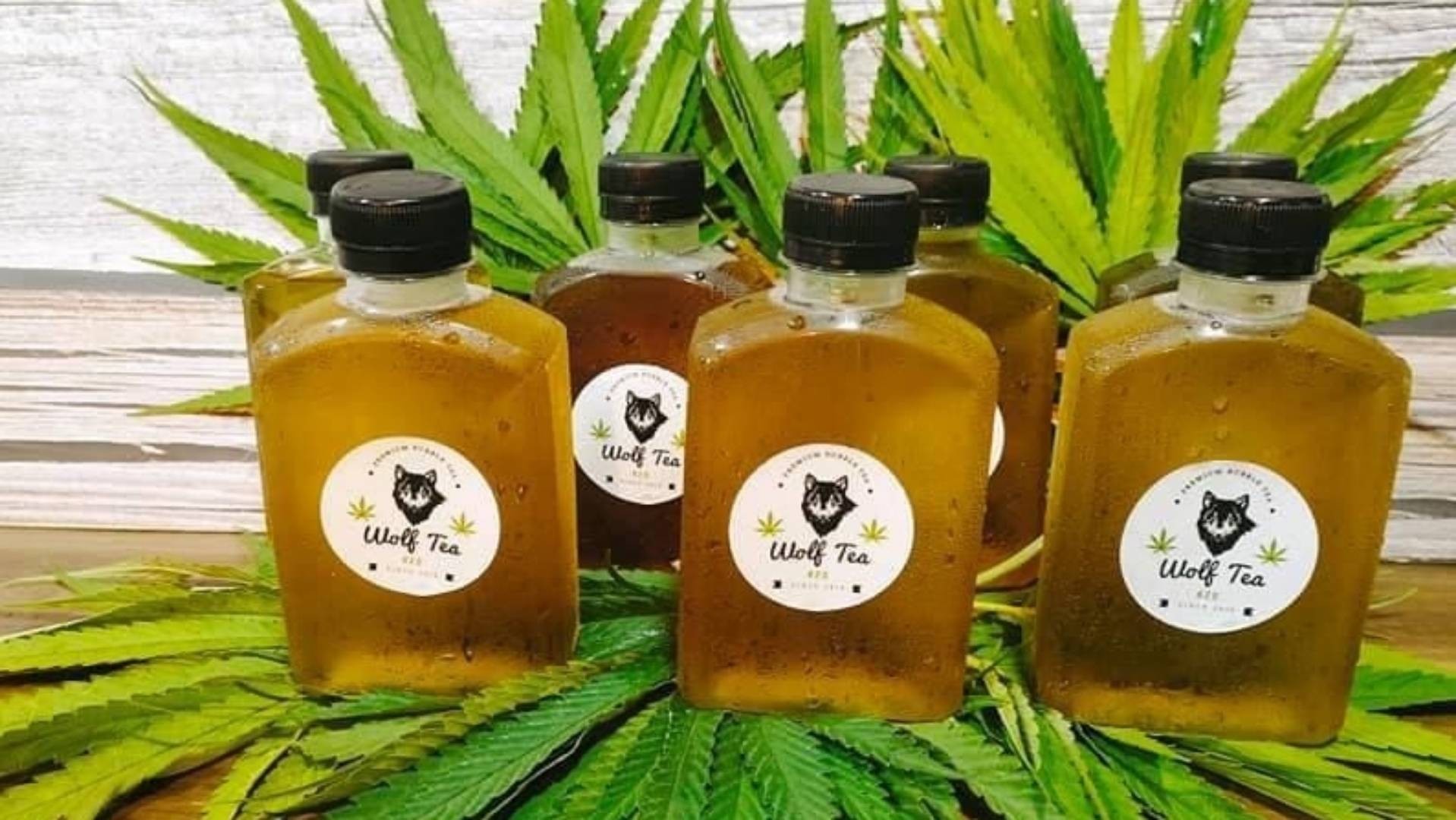 Wolf tea ชากัญชา&ชานม สาขาหาดใหญ่ - สั่งอาหารเดลิเวอรี | Wongnai x LINE MAN