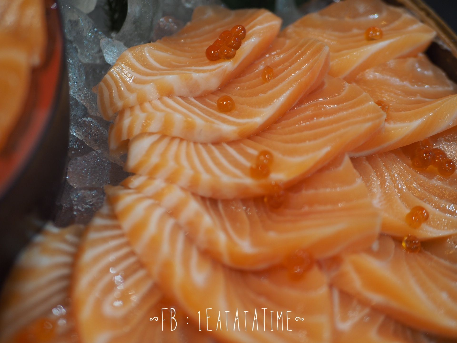 ปลาแซลมอน ซาชิมิ ร้าน HOSHI JAPANESE เซ็นทรัลพลาซา พระราม2 ชั้น4