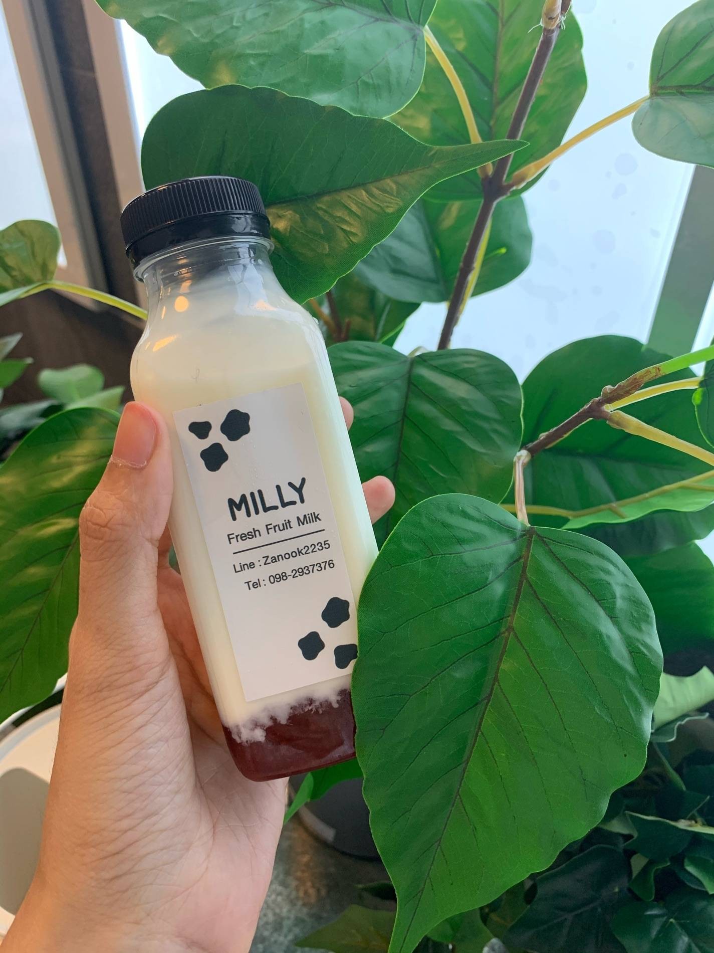 ร้าน Milly fresh fruit Milk | รีวิวร้านอาหาร