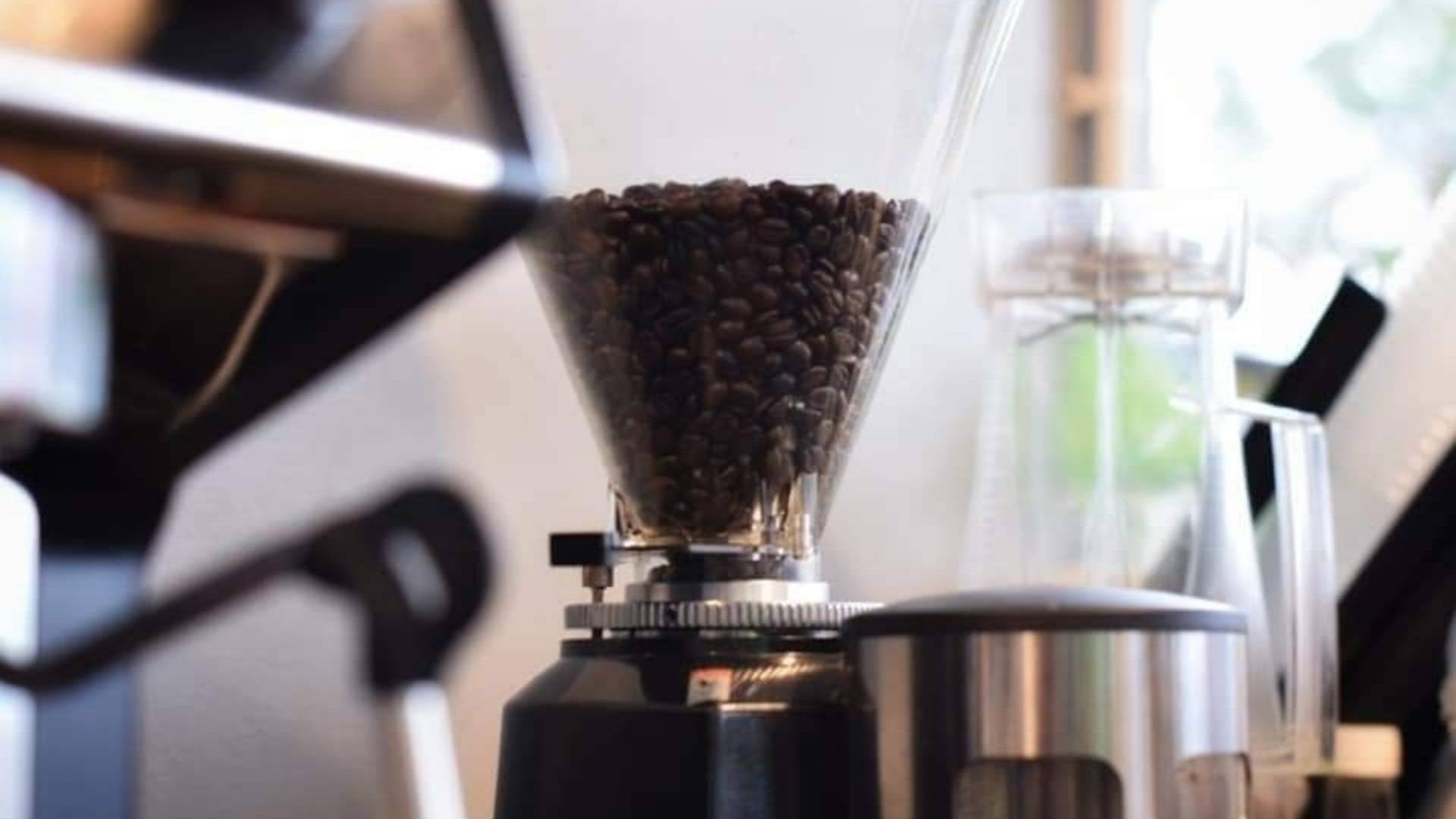 Monte' Coffee Cafe - สั่งอาหารเดลิเวอรี | Wongnai x LINE MAN