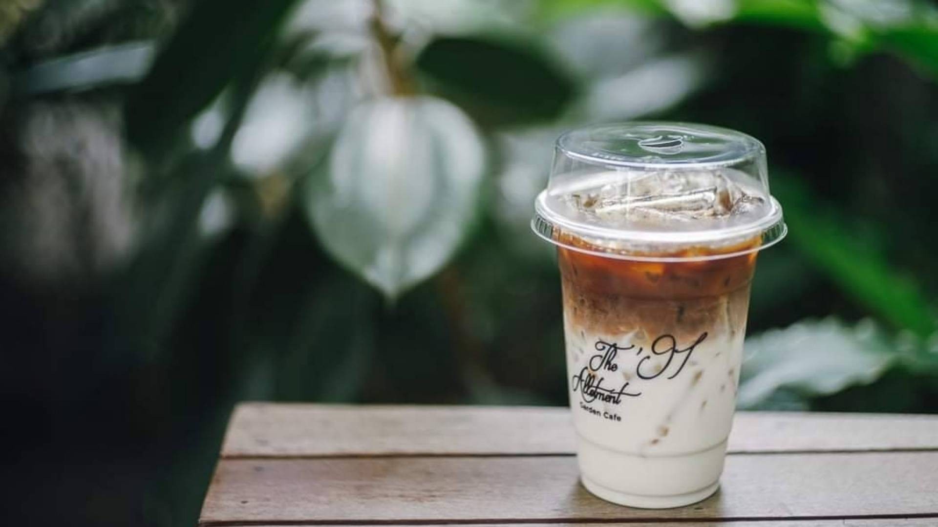 Allotment Cafe - สั่งอาหารเดลิเวอรี | Wongnai x LINE MAN