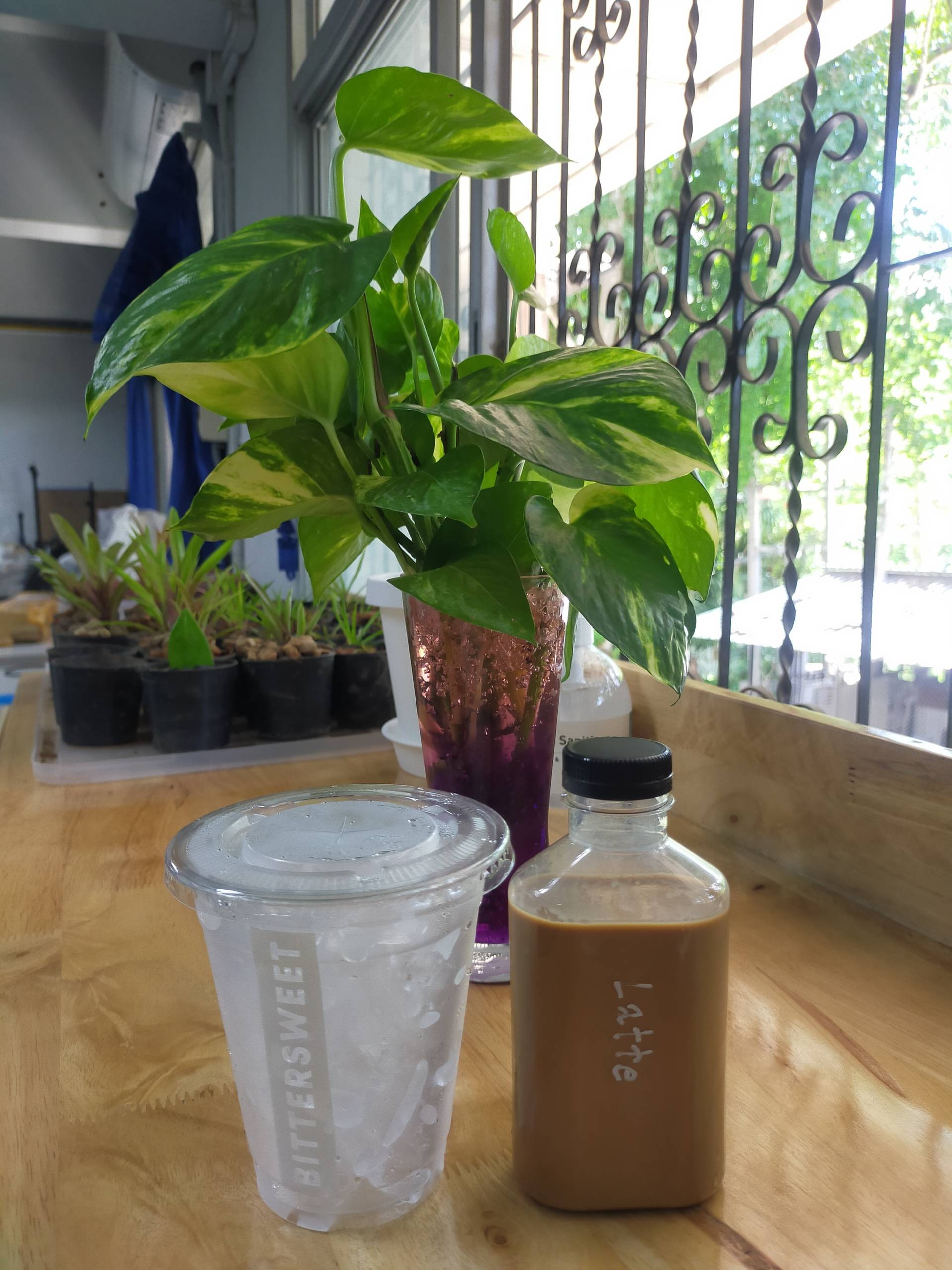 ร้าน Bittersweet (Coffee Slow Bar) | รีวิวร้านอาหาร - Wongnai