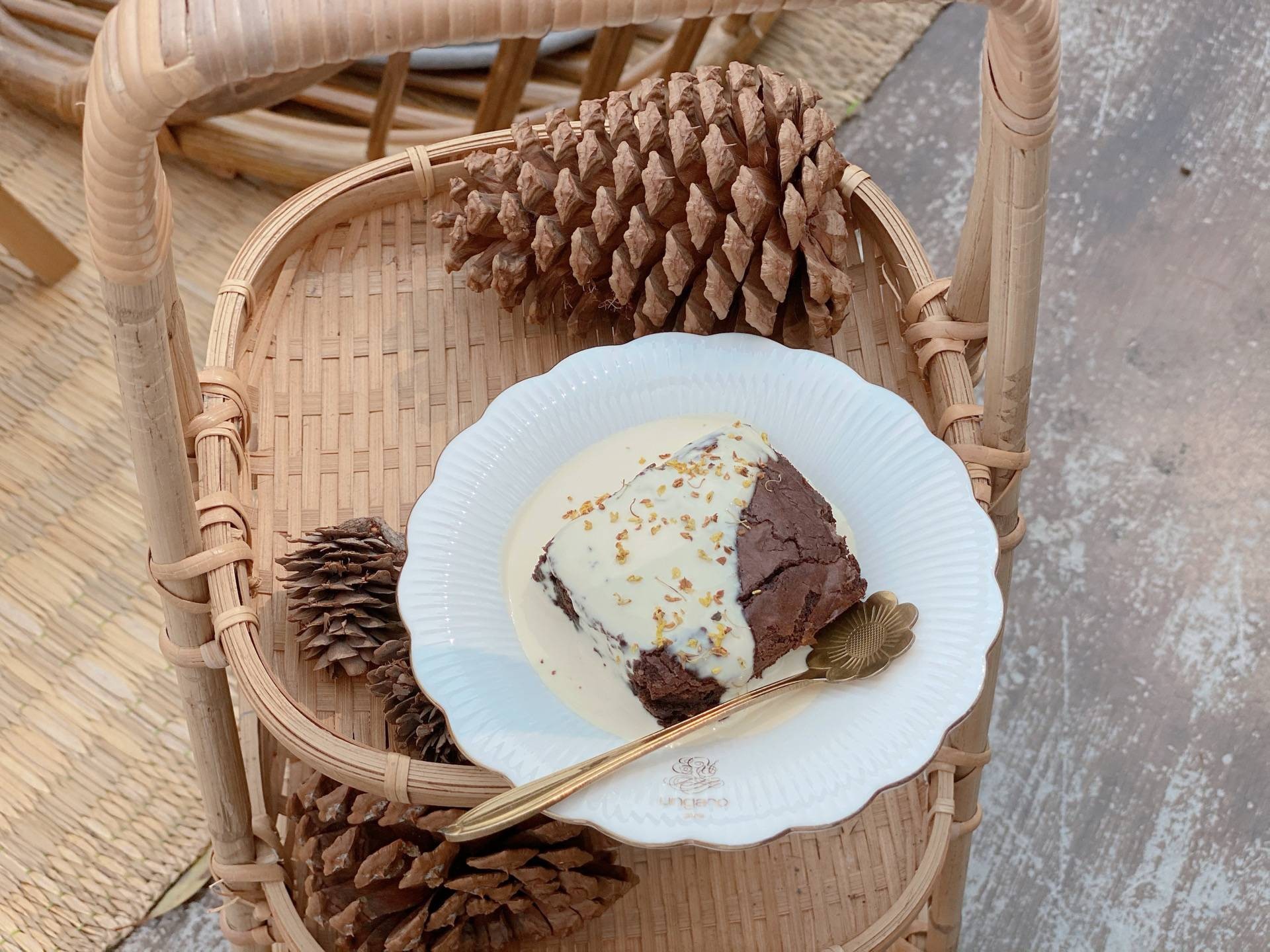รีวิว Bianca Tea Room ห้องชาเบียงก้า - ห้องชาเล็กๆบรรยากาศน่ารัก - Wongnai