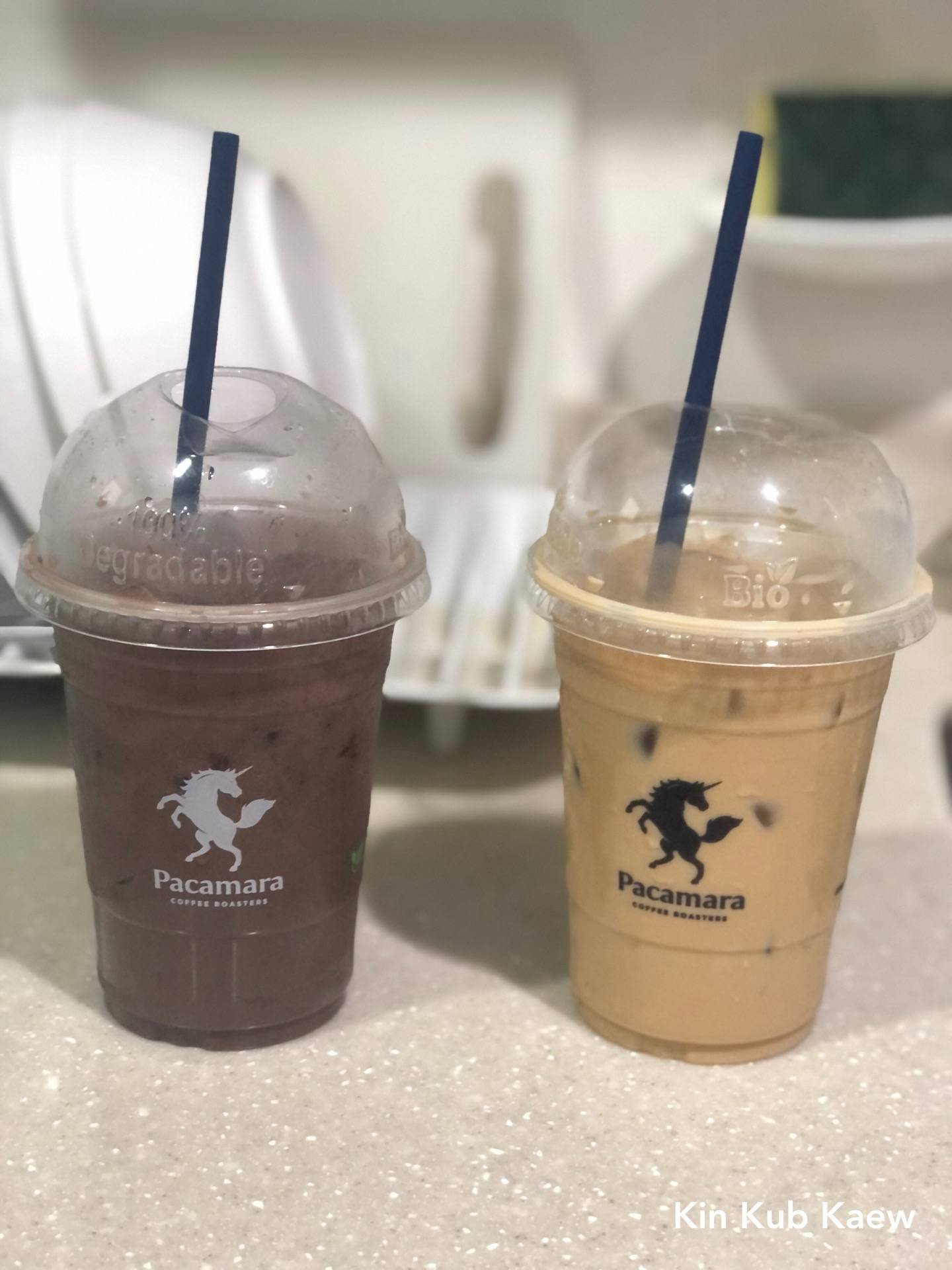 รีวิว PACAMARA Thonglor 25 - Pacamara โปรโมชั่น 1 แถม 1