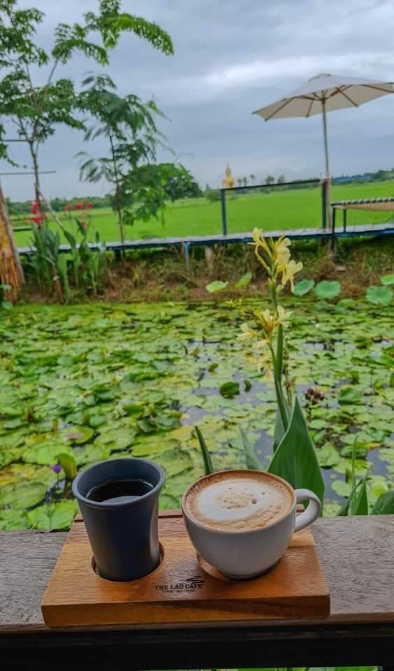รีวิว The Lao Cafe And Resort - นอกจากกาแฟดีแล้ววิวร้านนี้คือดีมาก มอง ...