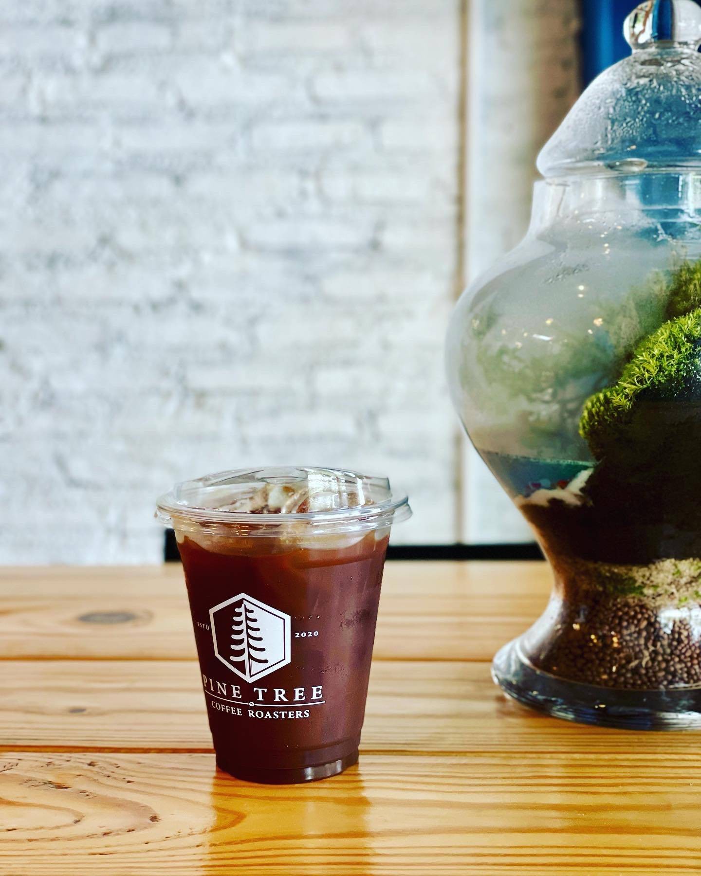 รีวิว Pine Tree Coffee Roasters - กาแฟเจ๋ง คั่วเองด้วย มีเมล็ดให้เลือก ...