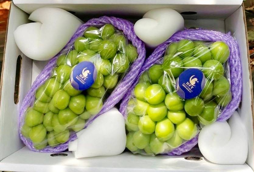 ร้าน Kanfruits - Wongnai