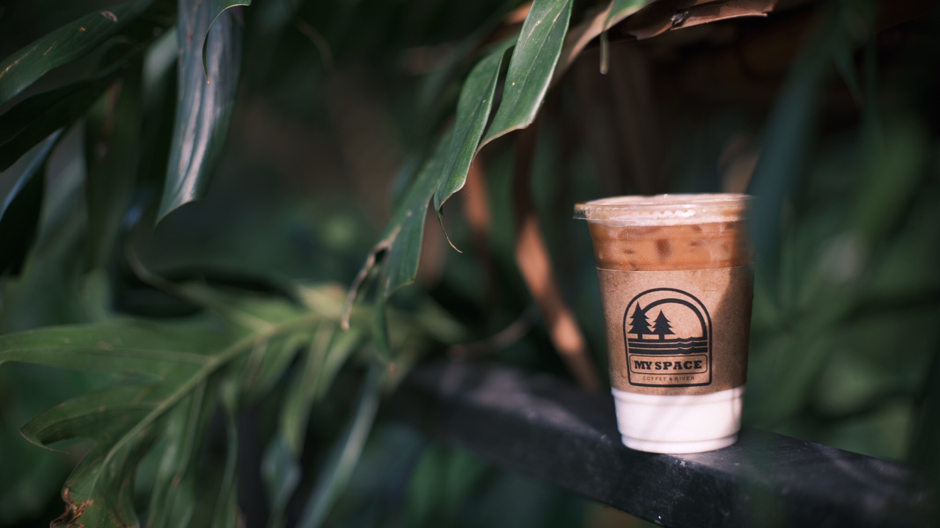 My space coffee&river - สั่งอาหารเดลิเวอรี | Wongnai x LINE MAN