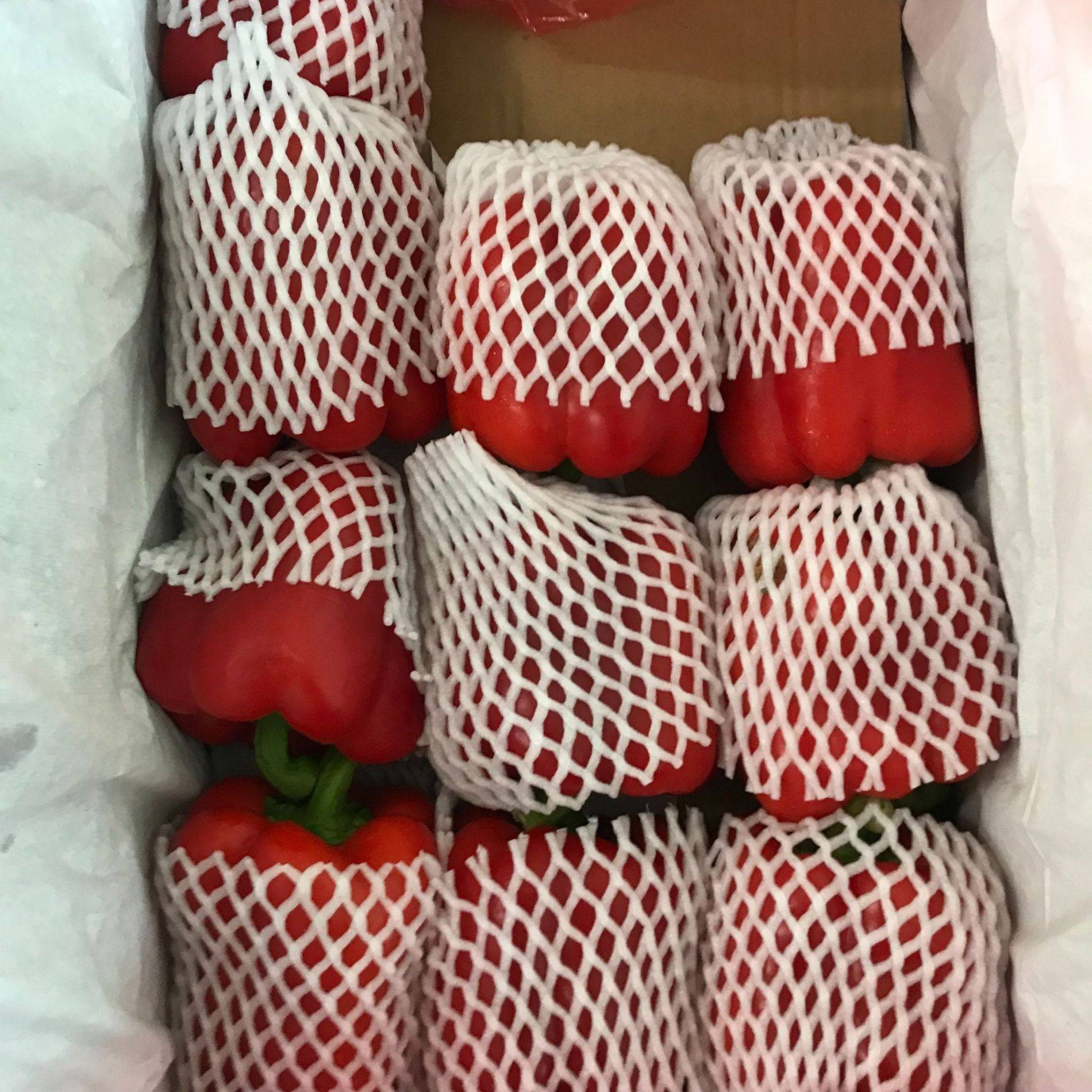 ร้าน ตลาดเดลิเวอรี่ มินิมาร์ท