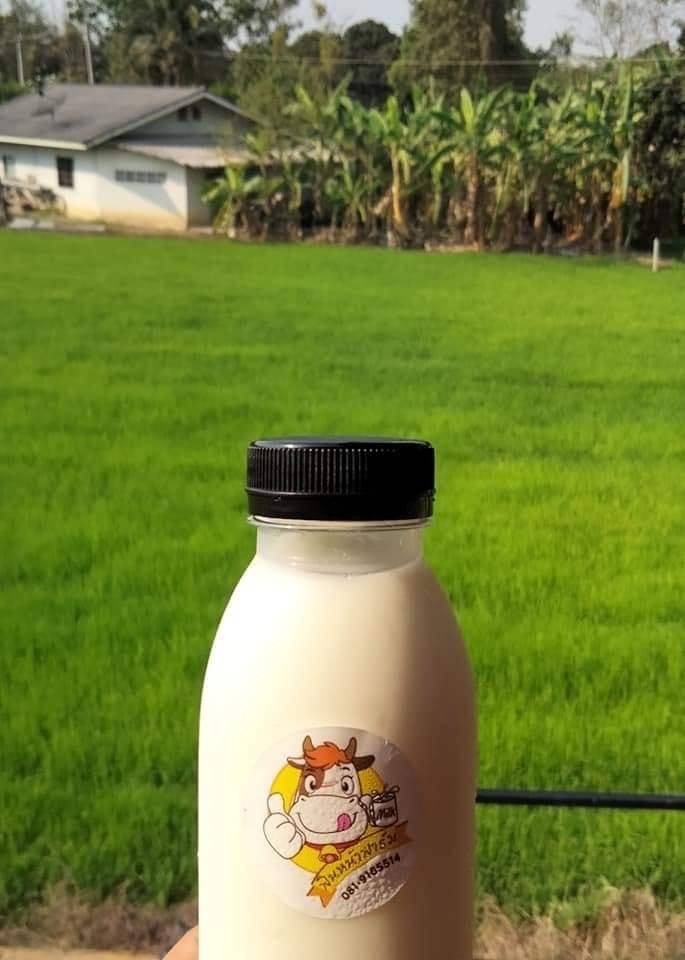 ร้าน ร้านฟินหน้าฟาร์ม Fin@Farm Cafe@Restaurant | รีวิวร้านอาหาร