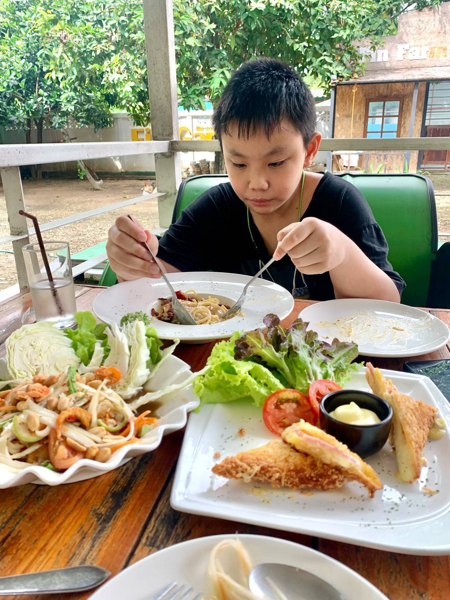 รีวิว Fin Farm Home Cafe - บรรยากาศดี สัตว์เลี้ยงต่างๆ น่ารักมาก - Wongnai