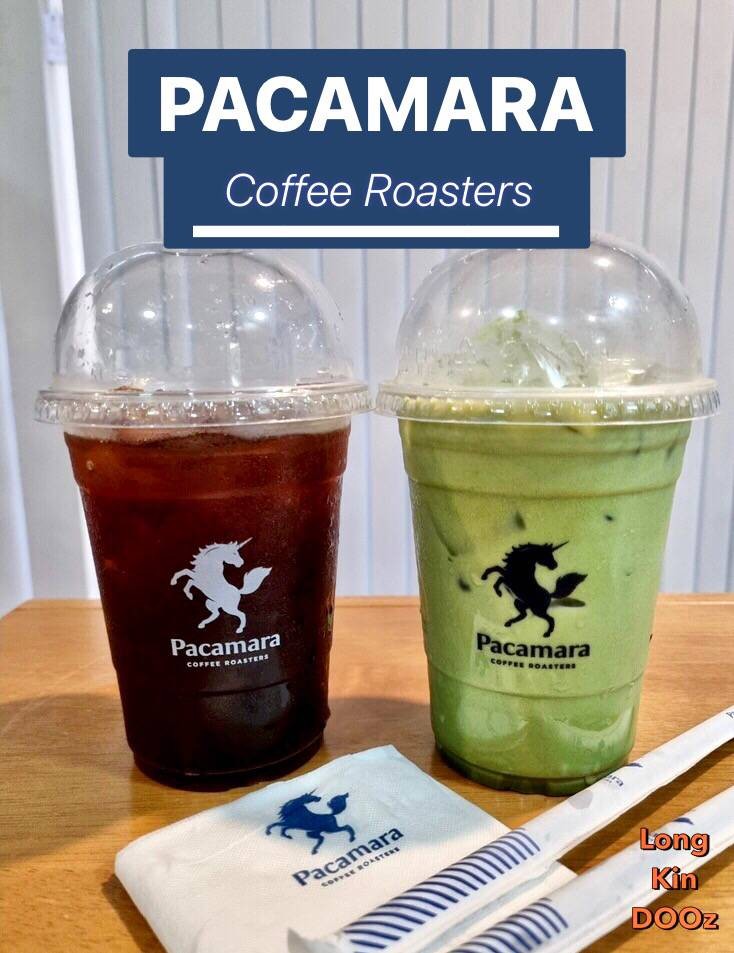 รีวิว PACAMARA S&A Building Silom - Pacamara โปรเครื่องดื่มเย็น 1 แถม 1 ...