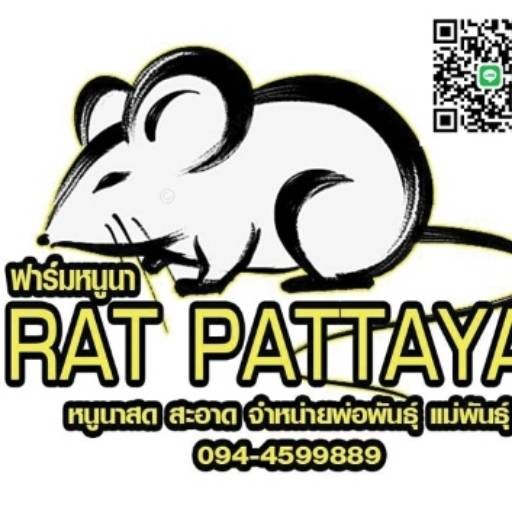 ร้าน RAT pattaya (หนูอบโอ่ง) | รีวิวร้านอาหาร
