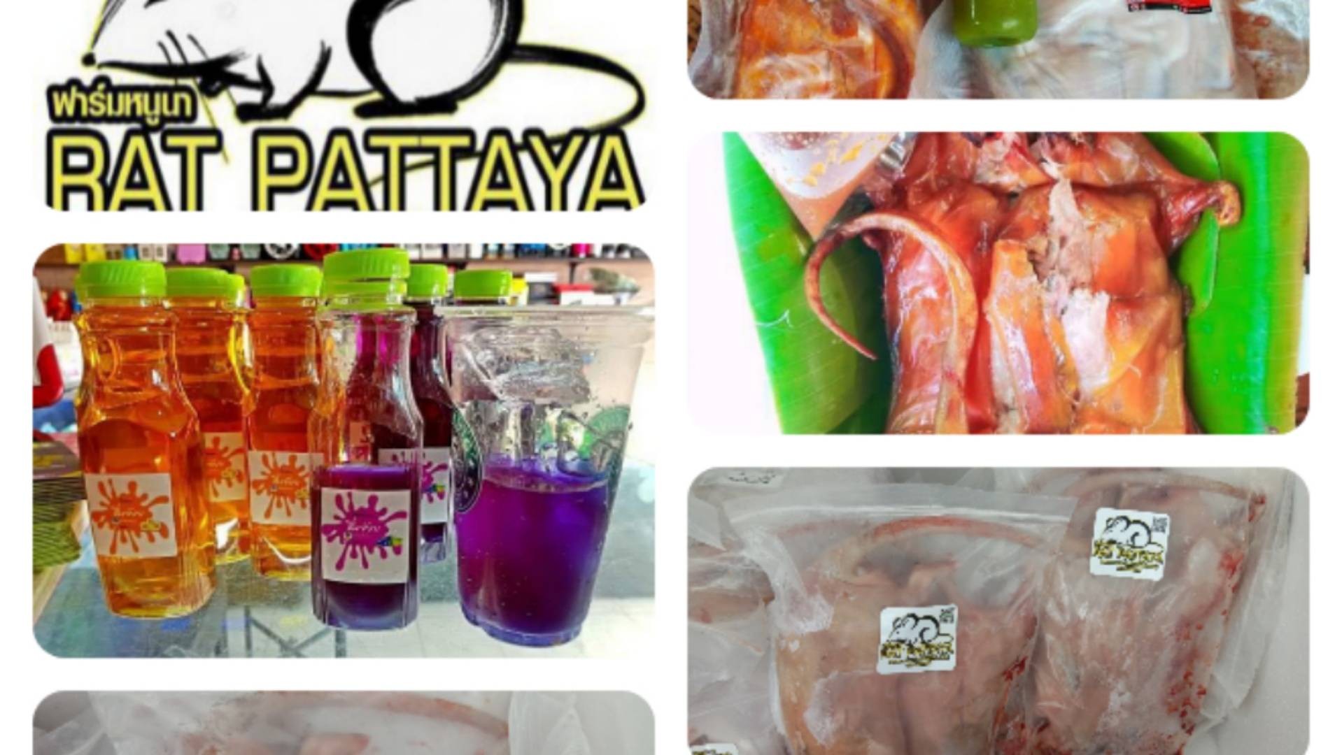 ร้าน RAT pattaya (หนูอบโอ่ง) | รีวิวร้านอาหาร
