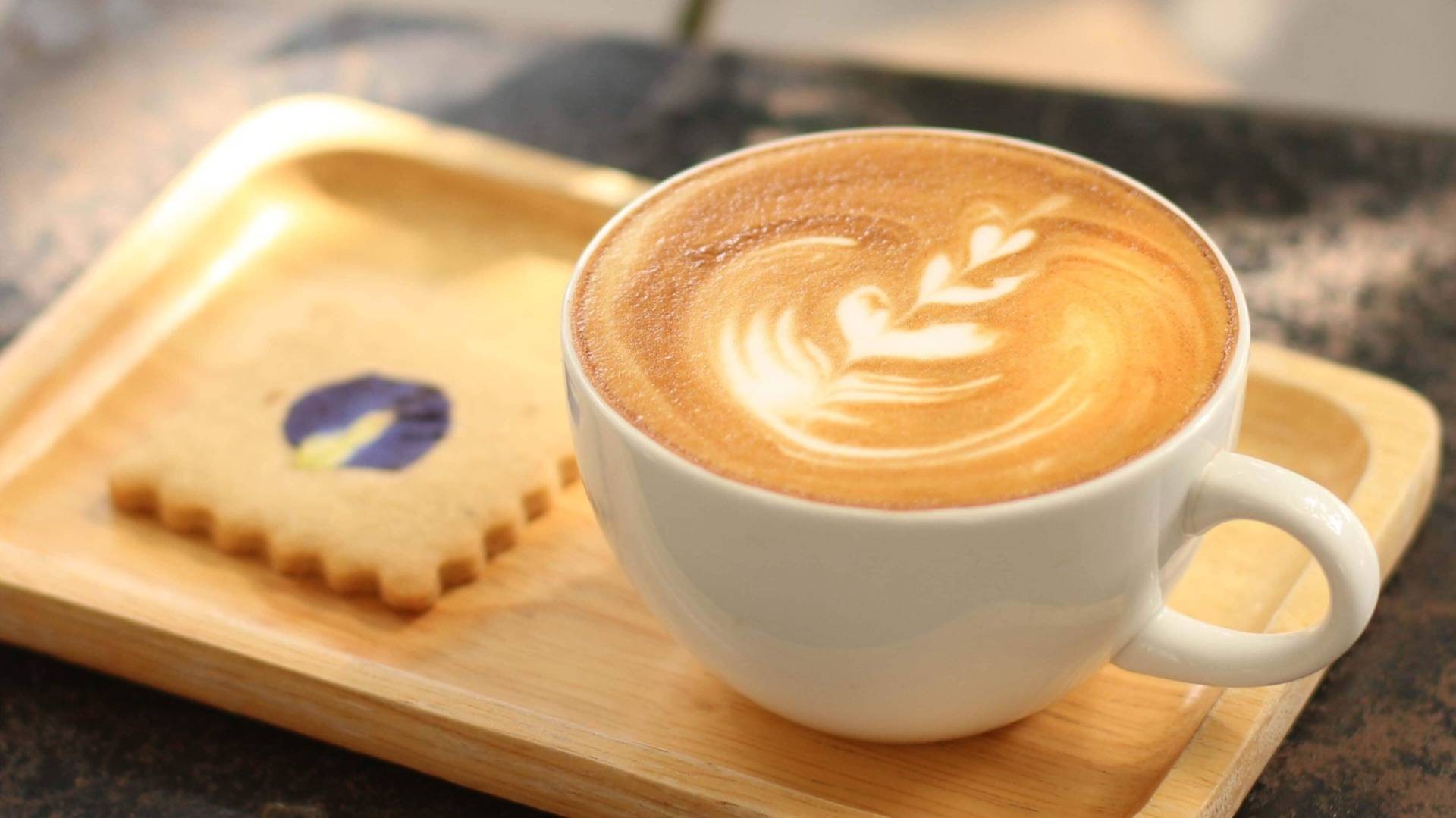 [รีวิว] ร้าน Penguin Ghetto Chiang mai | เมนูแนะนำ รูปภาพ ราคา - Wongnai