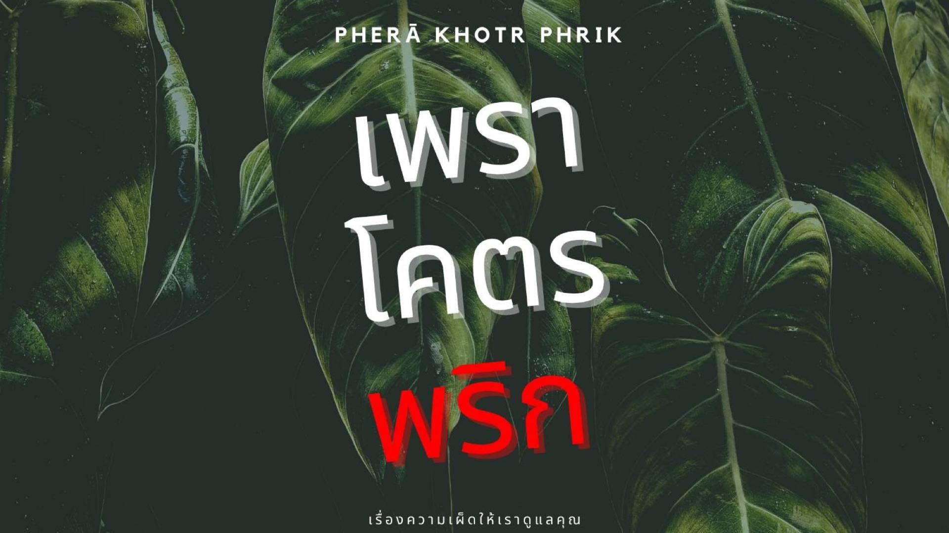 รีวิว เพราโคตรพริก(Phera Khotr Phrik)