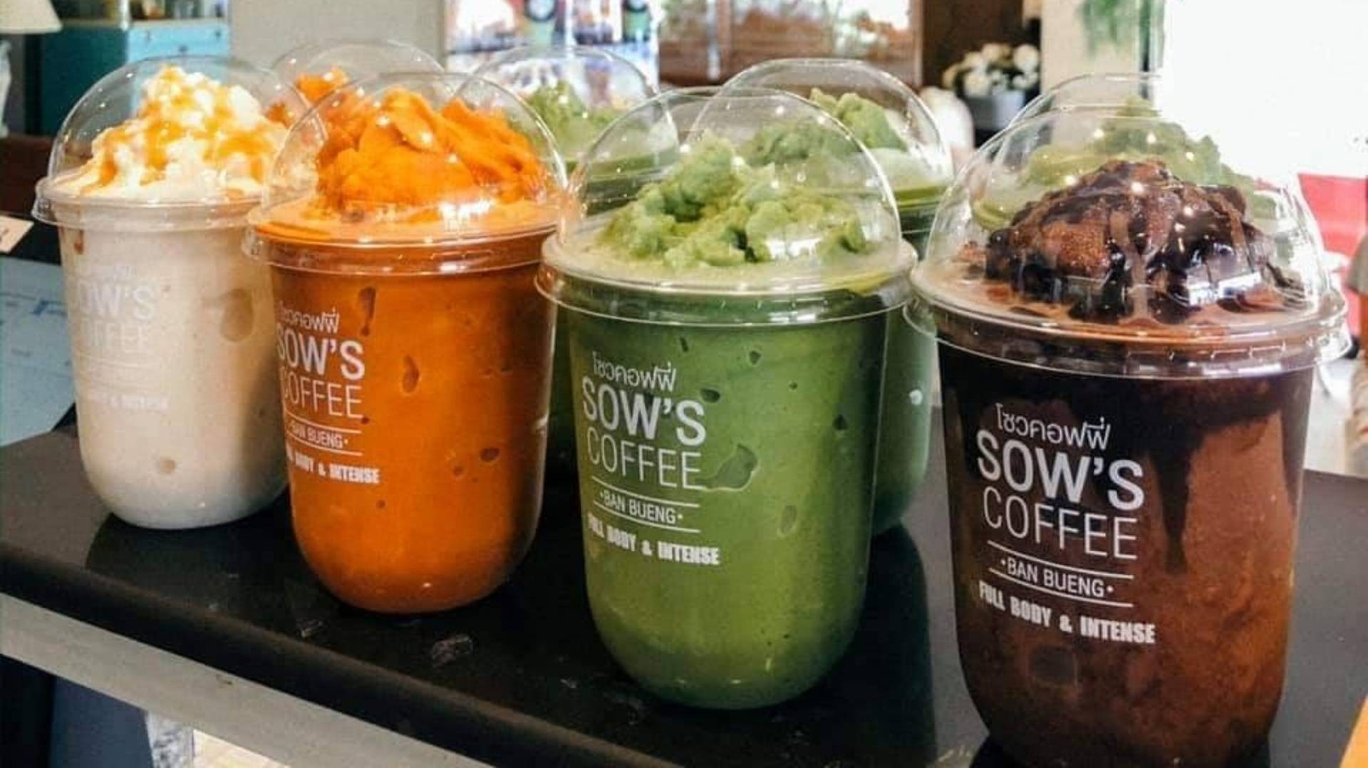 Sow's Coffee ปลวกแดง - สั่งอาหารเดลิเวอรี | Wongnai x LINE MAN