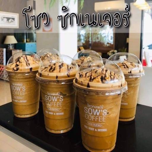 ร้าน Sow's Coffee ปลวกแดง | รีวิวร้านอาหาร - Wongnai