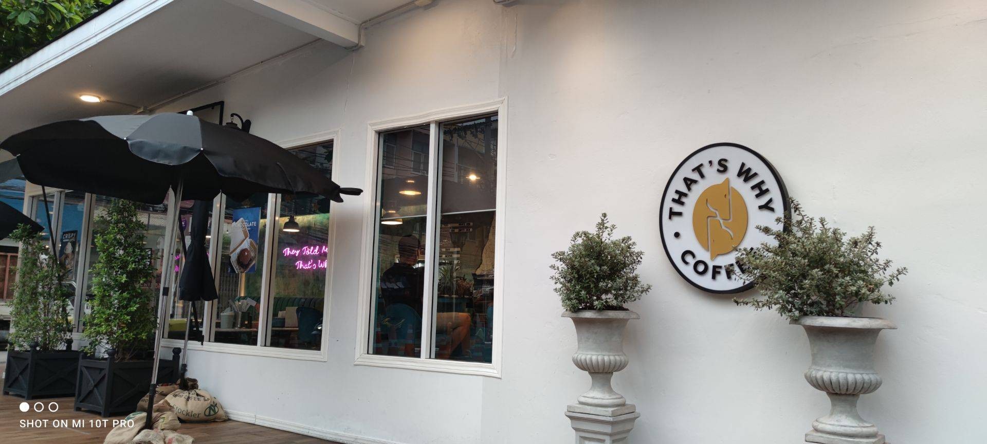 รีวิว That's Why coffee 15 - ร้านกาแฟรสชาติดี เค้กอร่อย - Wongnai