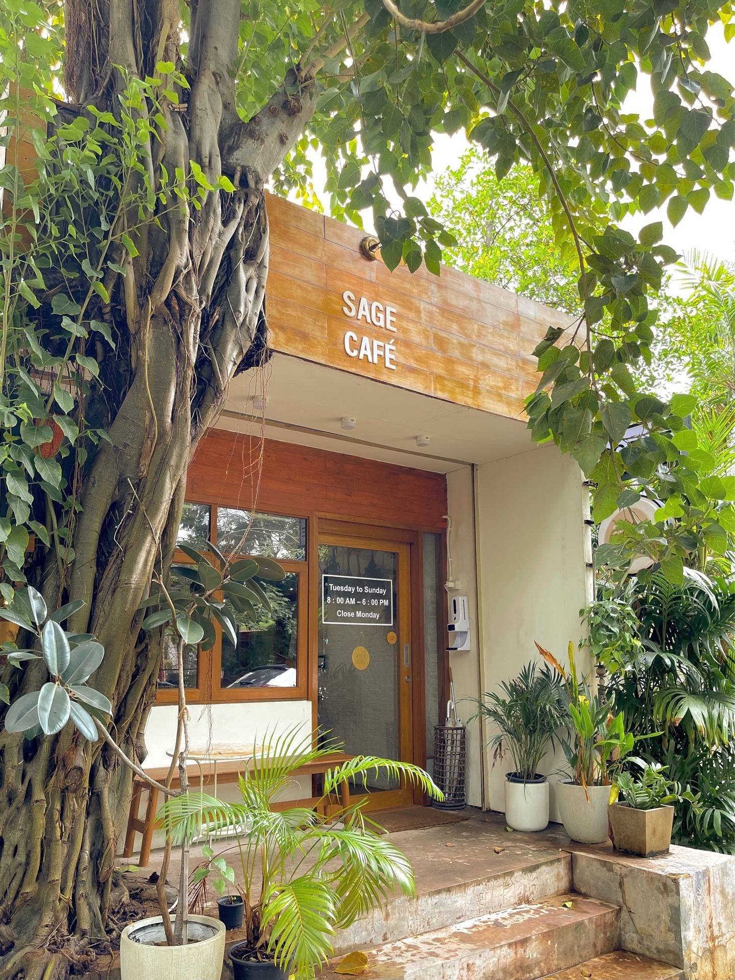 รีวิว Sage Cafe Bkk (เซจคาเฟ่) - Sage Cafe ร้านไม่ลับหลังพาราไดซ์ ศรี ...