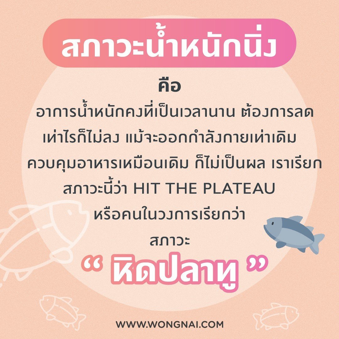 สภาวะน้ำหนักนิ่ง! (Hit the plateau) เคยเป็นไหม? ลดเท่าไรก็ไม่ลง