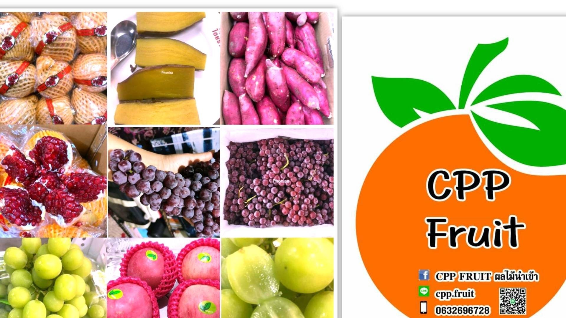 ร้าน CPP_fruit_ผลไม้นำเข้า
