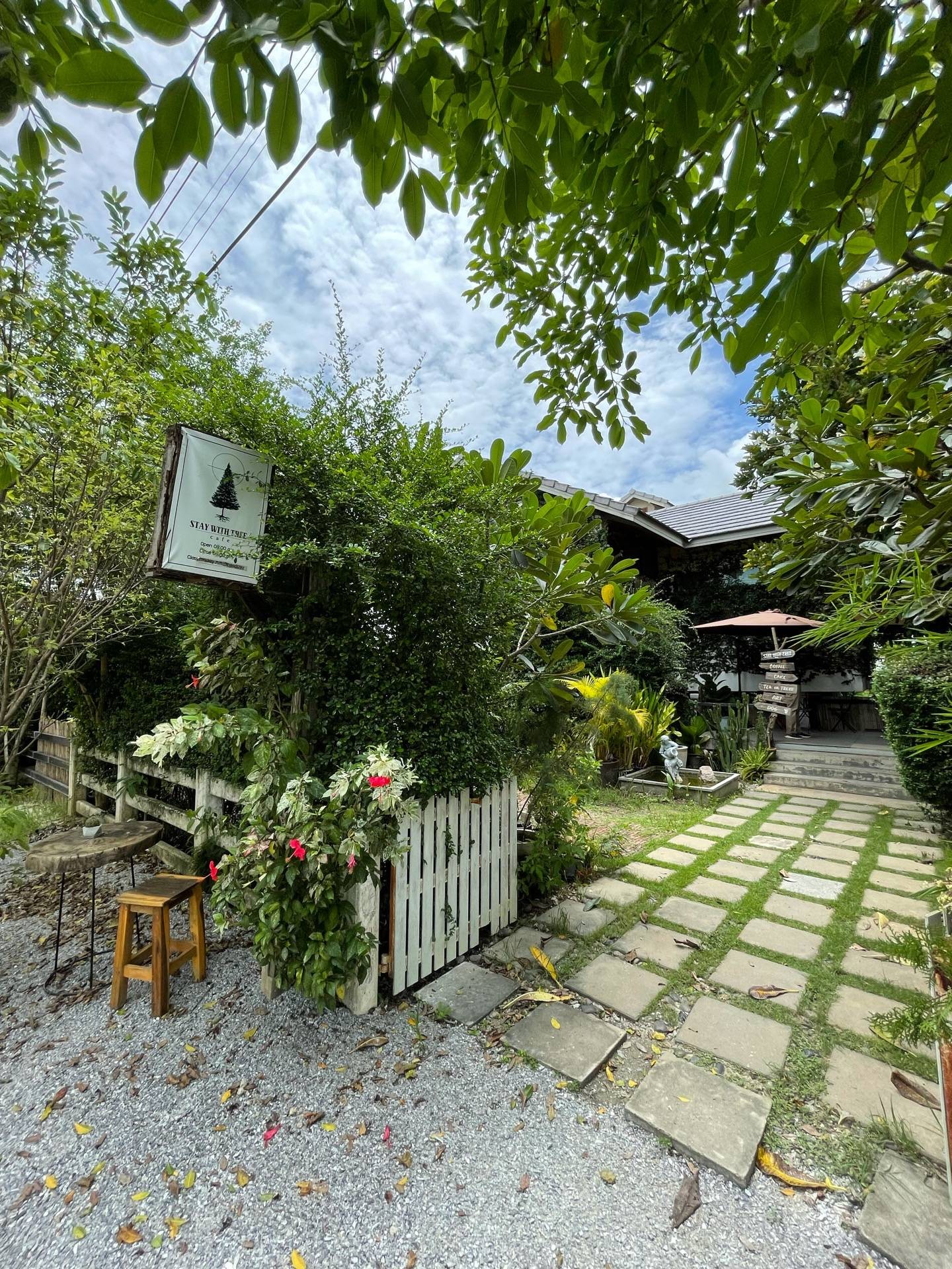 รีวิว Stay with tree cafe - คาเฟ่เล็กๆ ต้นไม้เยอะ