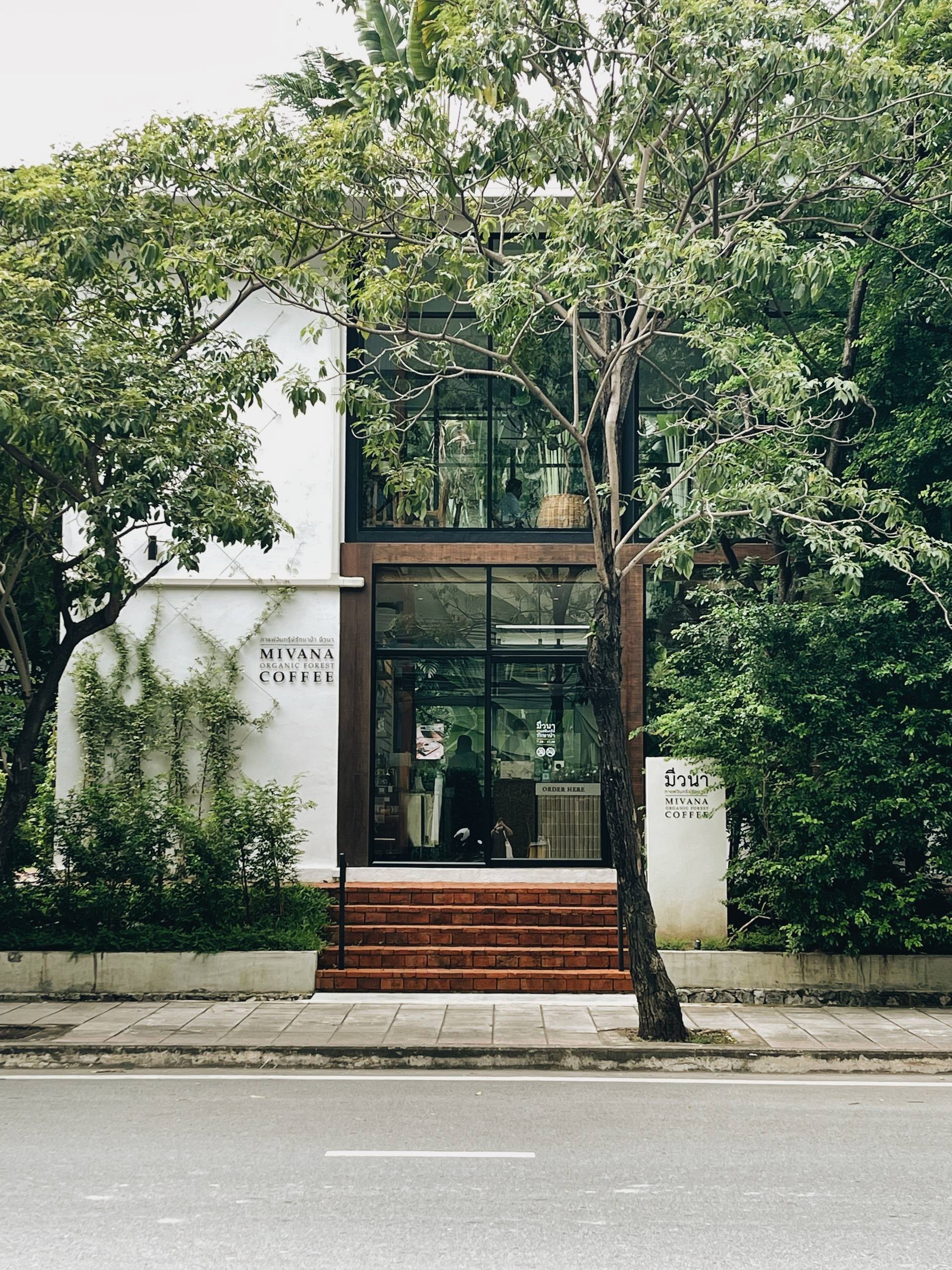 รีวิว MiVana Organic Forest Coffee - Mivana Coffee Flagship Store ร้าน ...