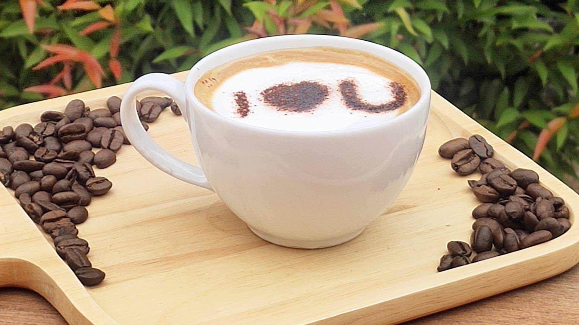 CANDY Cha & Coffee - สั่งอาหารเดลิเวอรี | Wongnai x LINE MAN