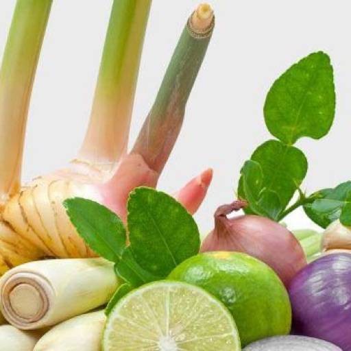 ร้าน Fart burger | รีวิวร้านอาหาร