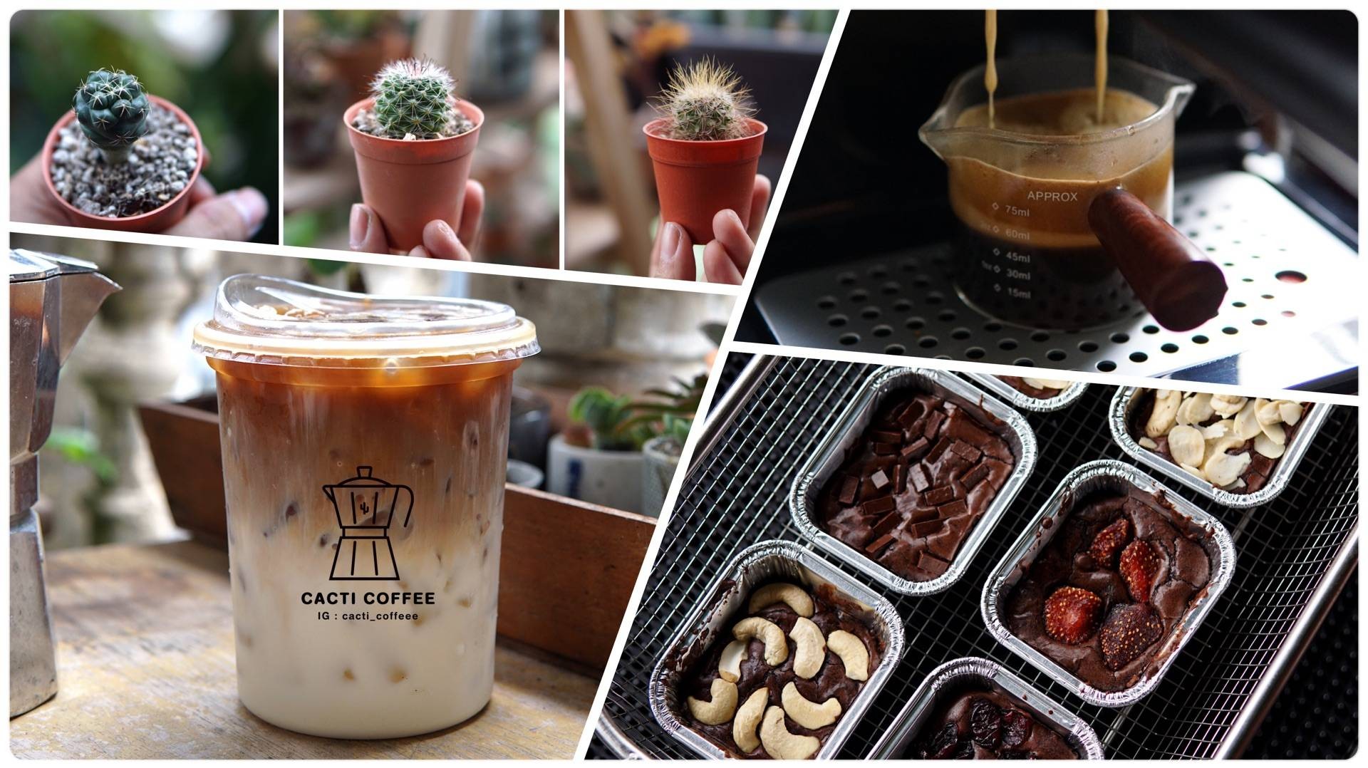 CACTI COFFEE | กาแฟสด (Espresso Machine & Drip & Mokapot) - สั่งอาหารเ ...