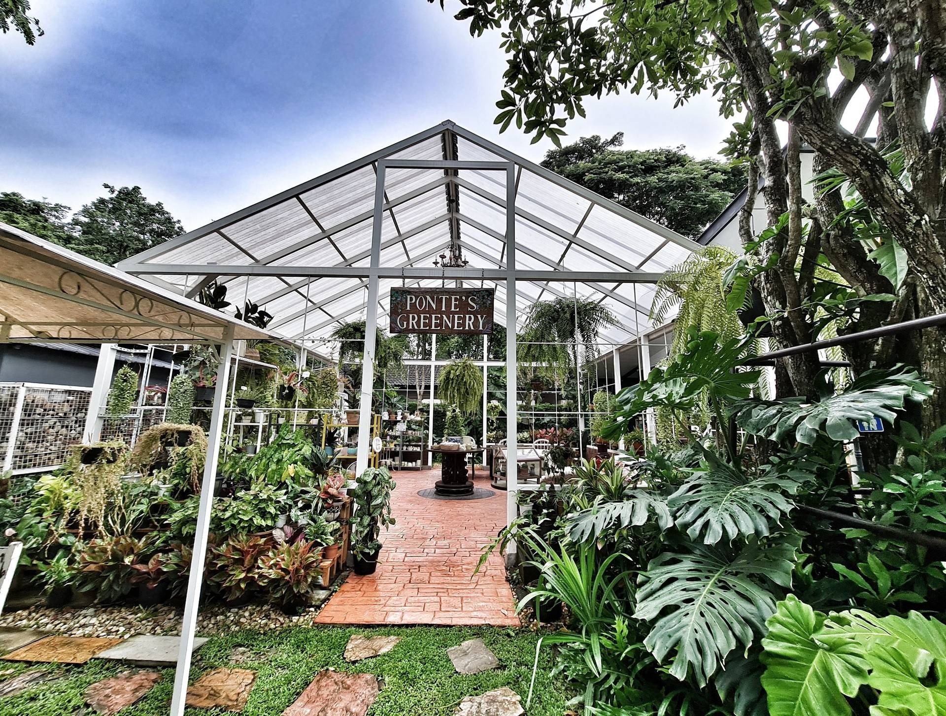 รีวิว PONTE CAFE - ร้านคาเฟ่จัดสวนน่ารัก