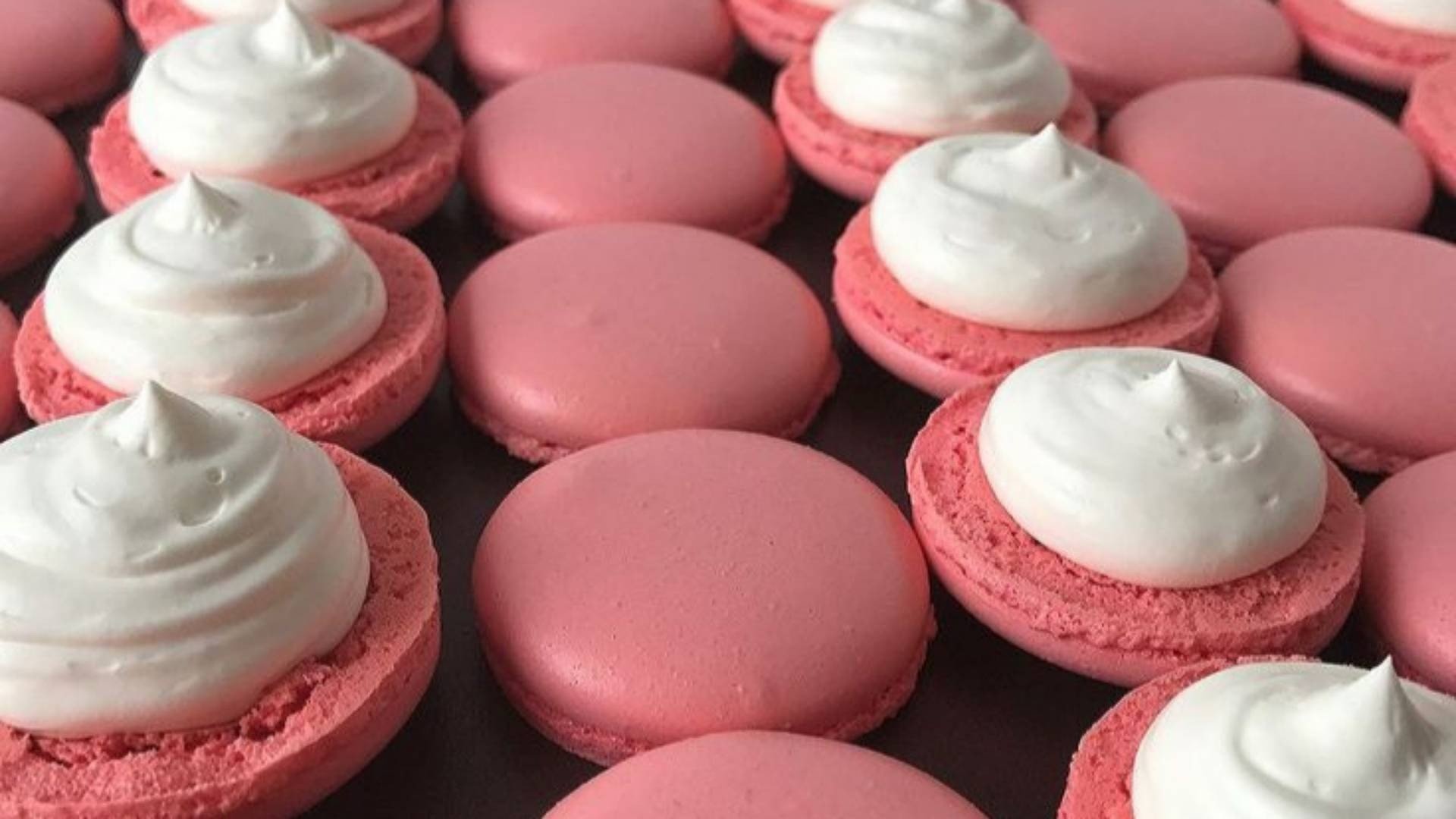 Macaron Maison มาการองฝรั่งเศส - สั่งอาหารเดลิเวอรี | Wongnai x LINE MAN