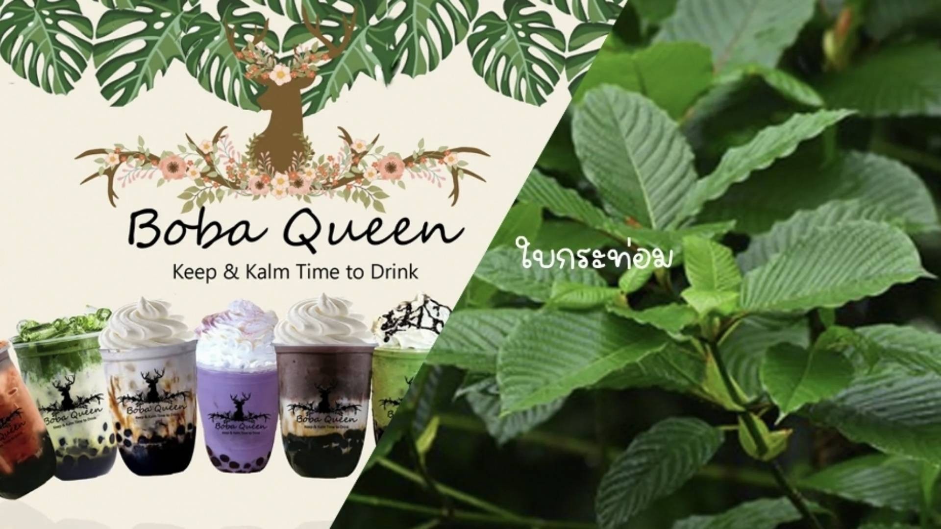 BoBa Queen - สั่งอาหารเดลิเวอรี | Wongnai x LINE MAN