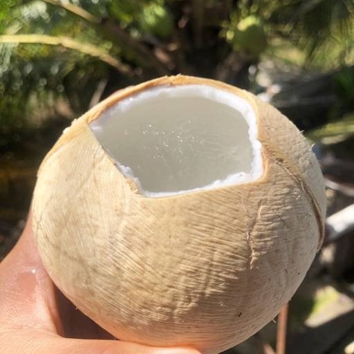 ร้าน BBcoconut house | รีวิวร้านอาหาร