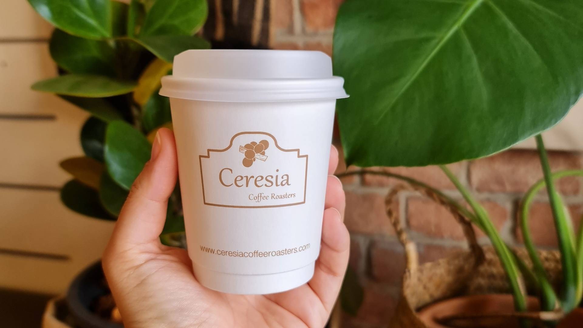 Ceresia Coffee Roasters สุขุมวิท - สั่งอาหารเดลิเวอรี | Wongnai x LINE MAN